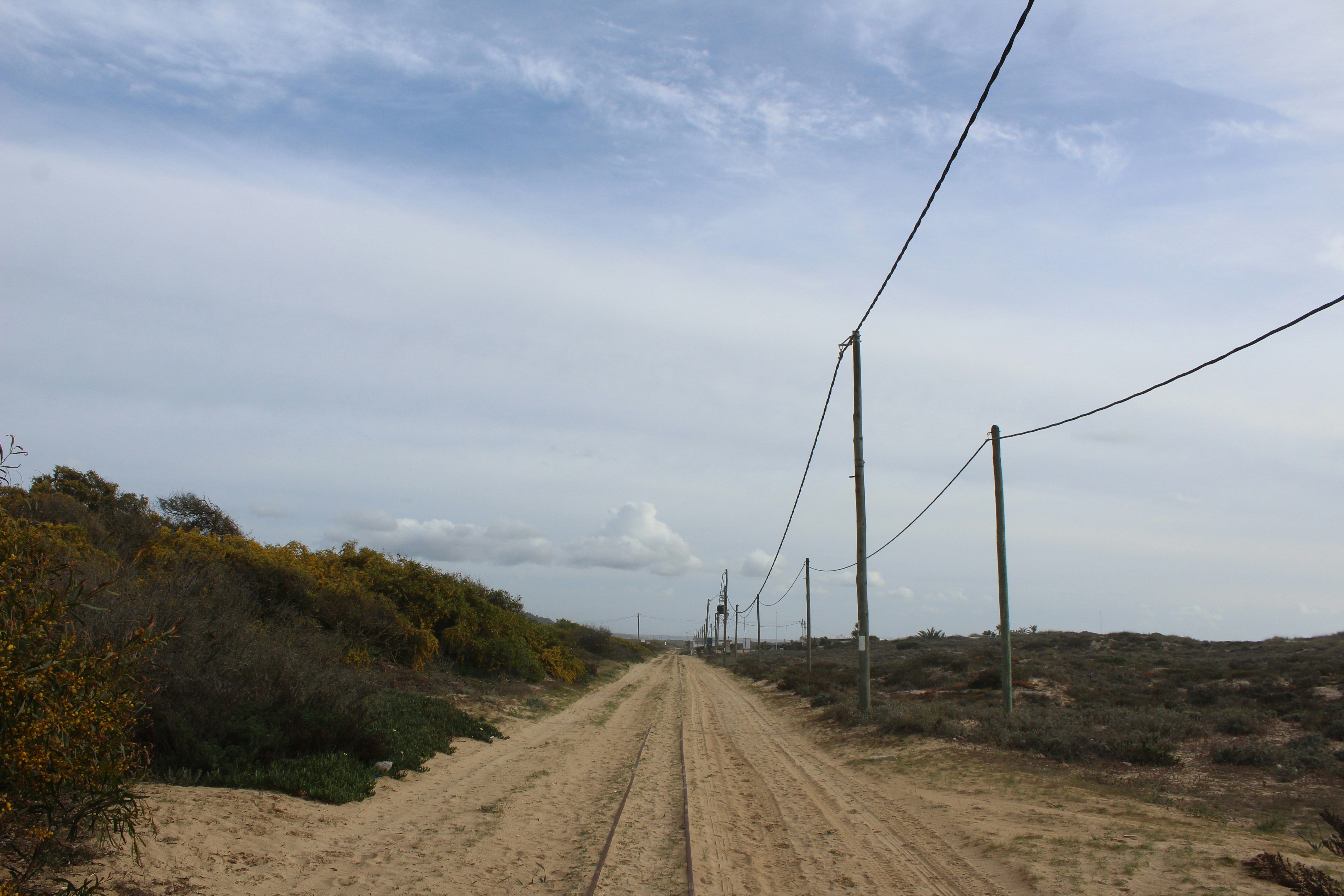 A sandy pathway lined with utility poles stretches into the distance, framed by lush vegetation under a cloudy sky.