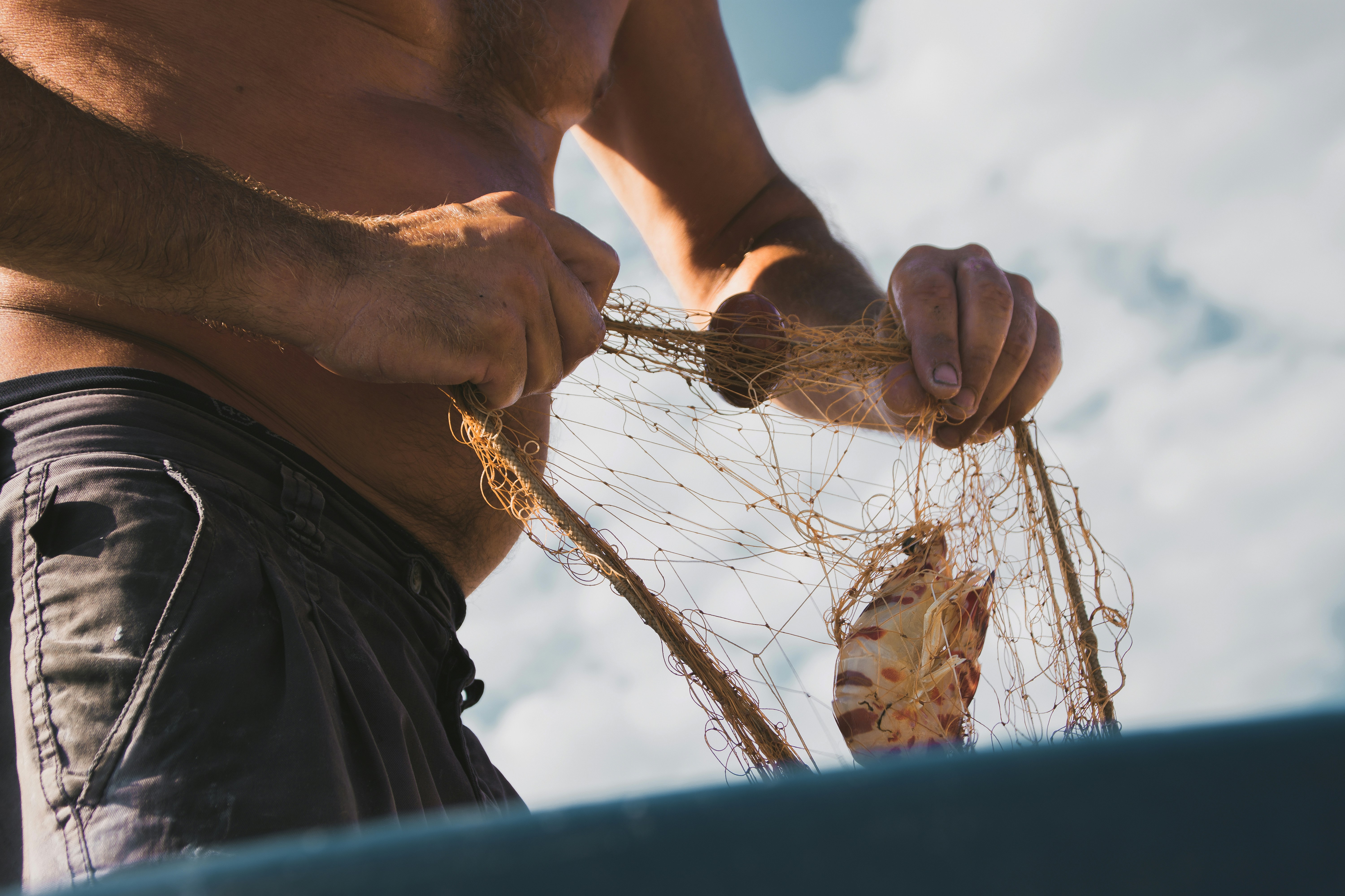 Casting Net: A Sunlit Moment of Craft and Focus