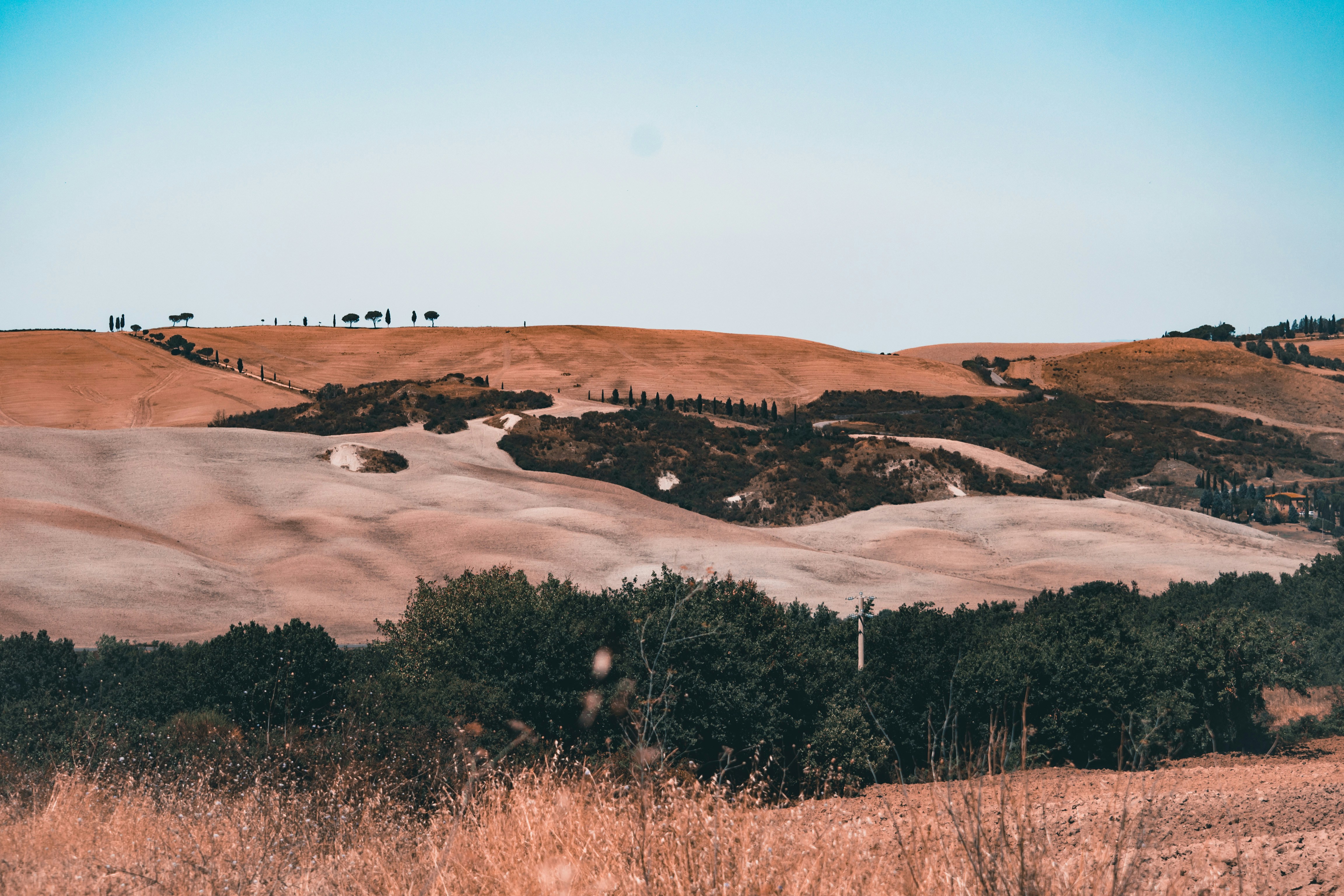 Foto Un campo con árboles y colinas al fondo – Imagen Toscana gratis en ...