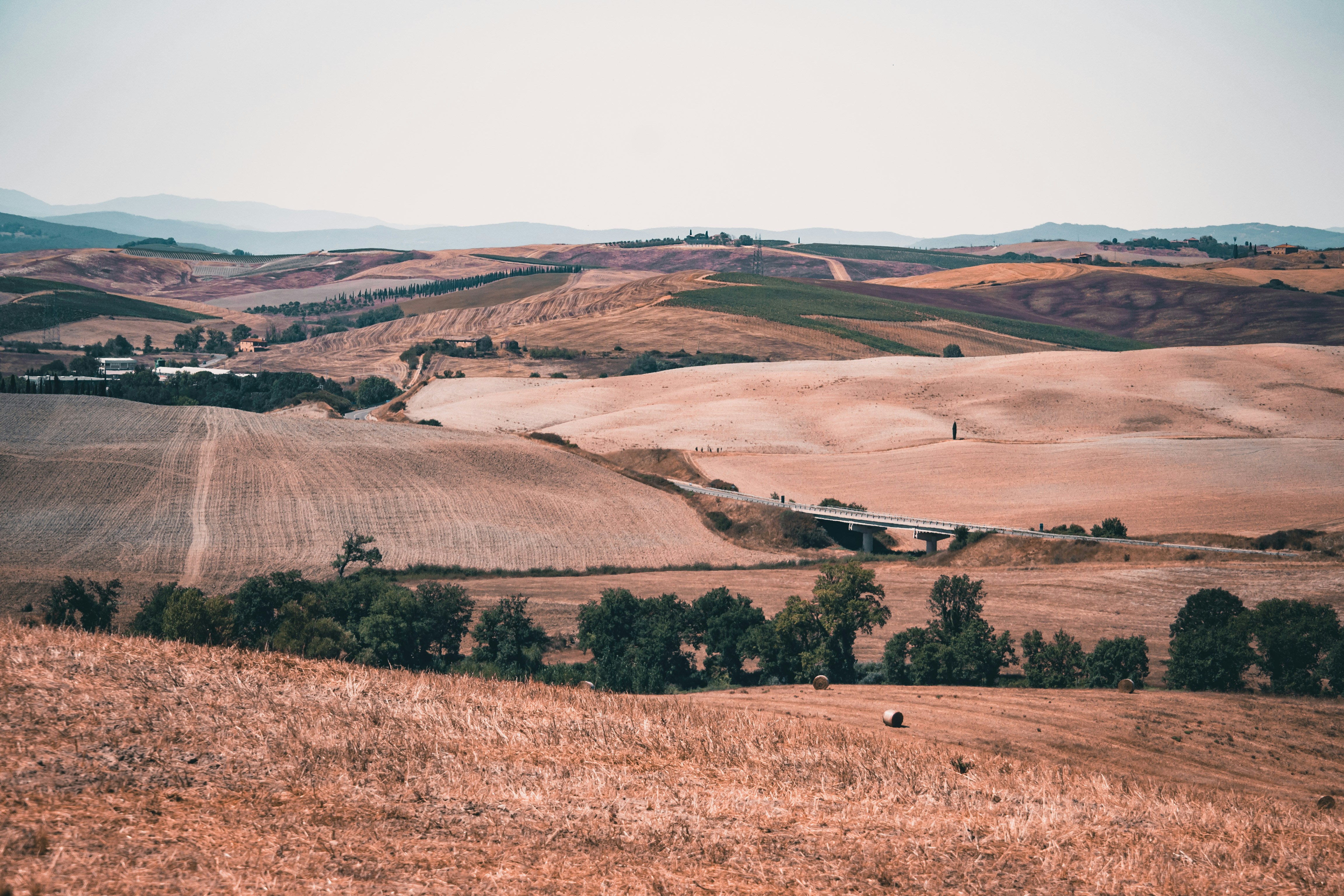 Foto zum Thema Ein großes Feld mit einem Zug auf den Gleisen ...