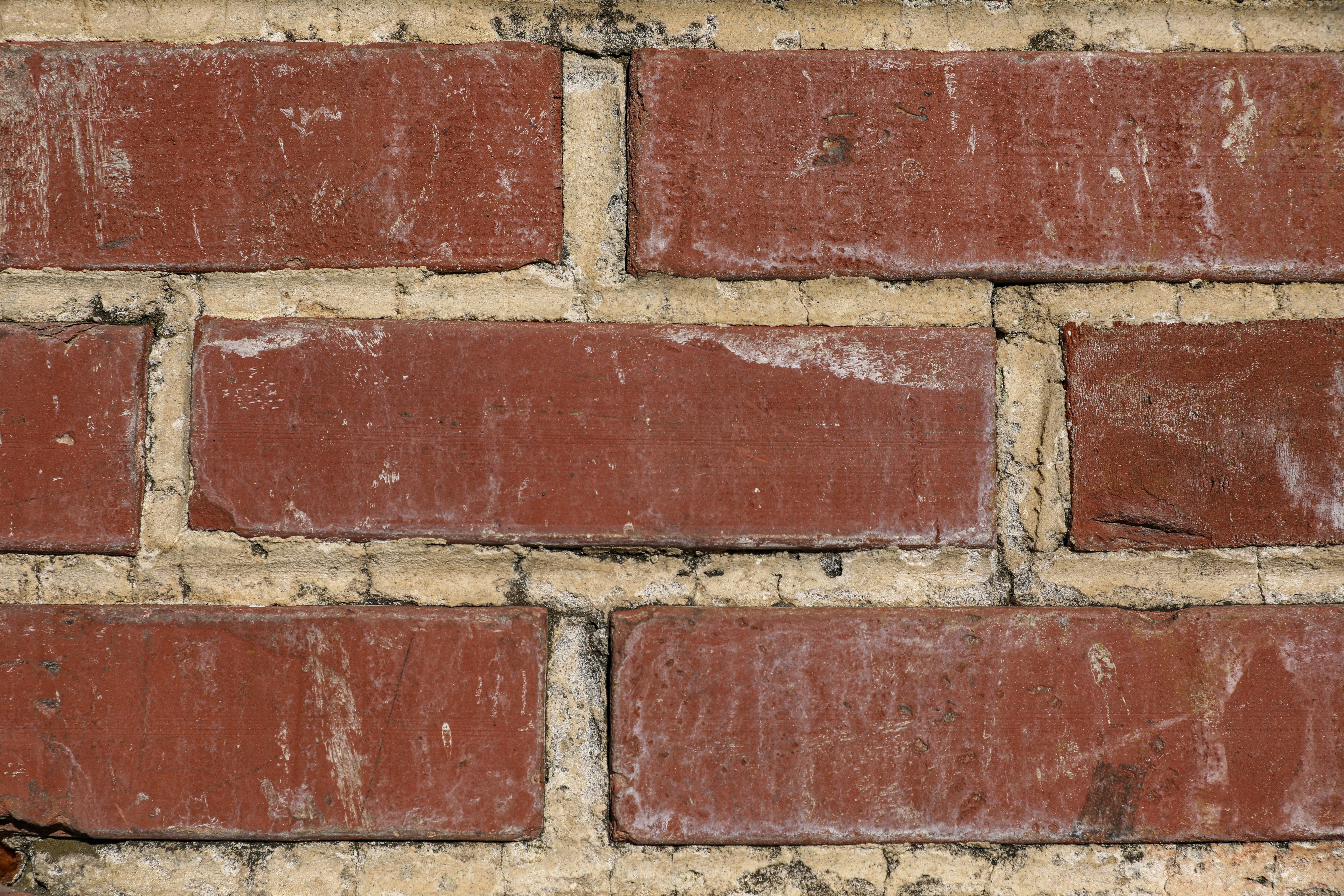 Images from a photo walk with friends in a quaint little Florida town.Mick Haupt