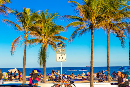Signpost Central: Palm-Frond Corridor Framing a Bustling Beach Scene