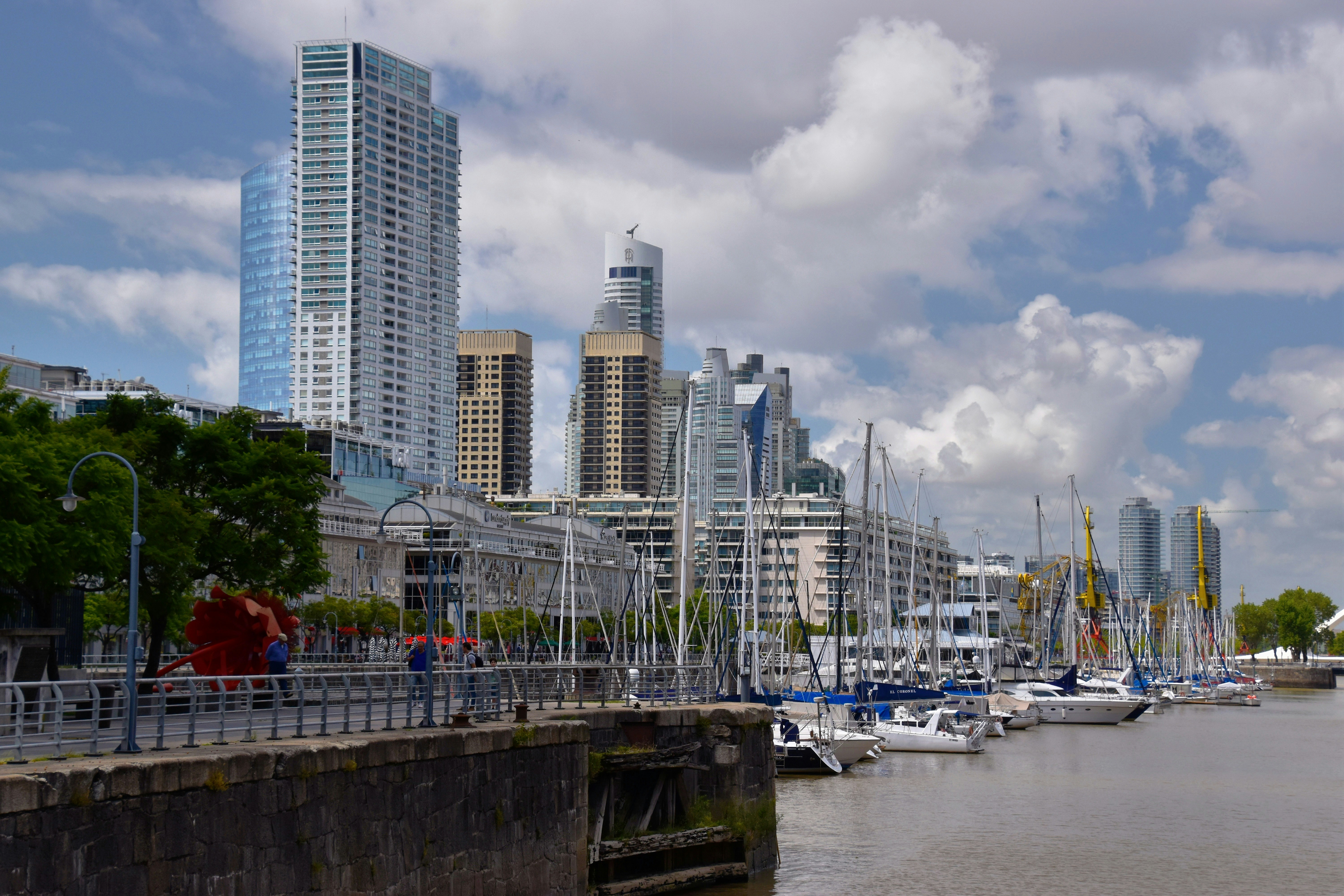 Harbor Skyline Framed by a Sail-In Marina
