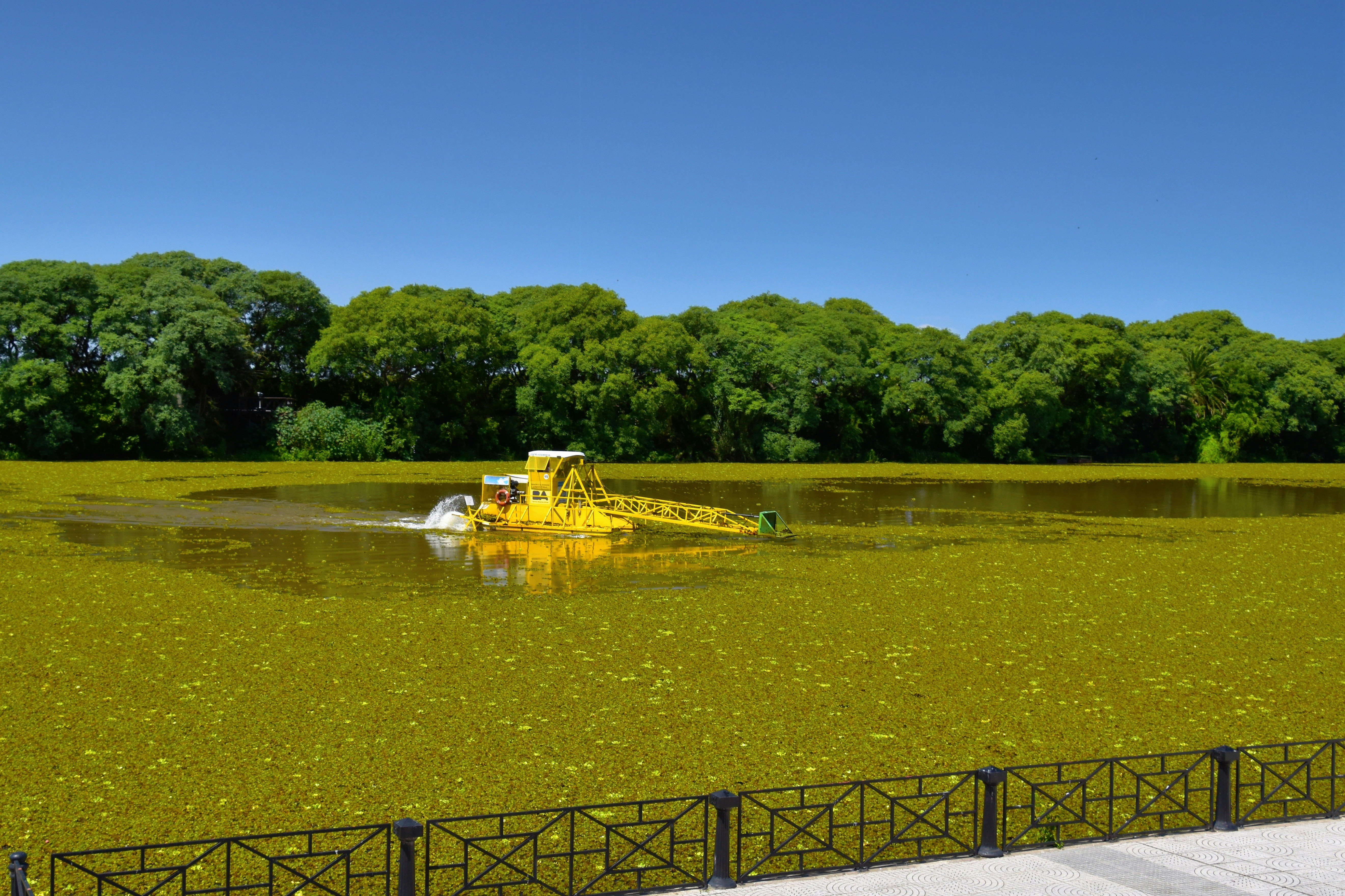 Sunlit Yellow Amphibious Excavator Anchored in a Murky Pond