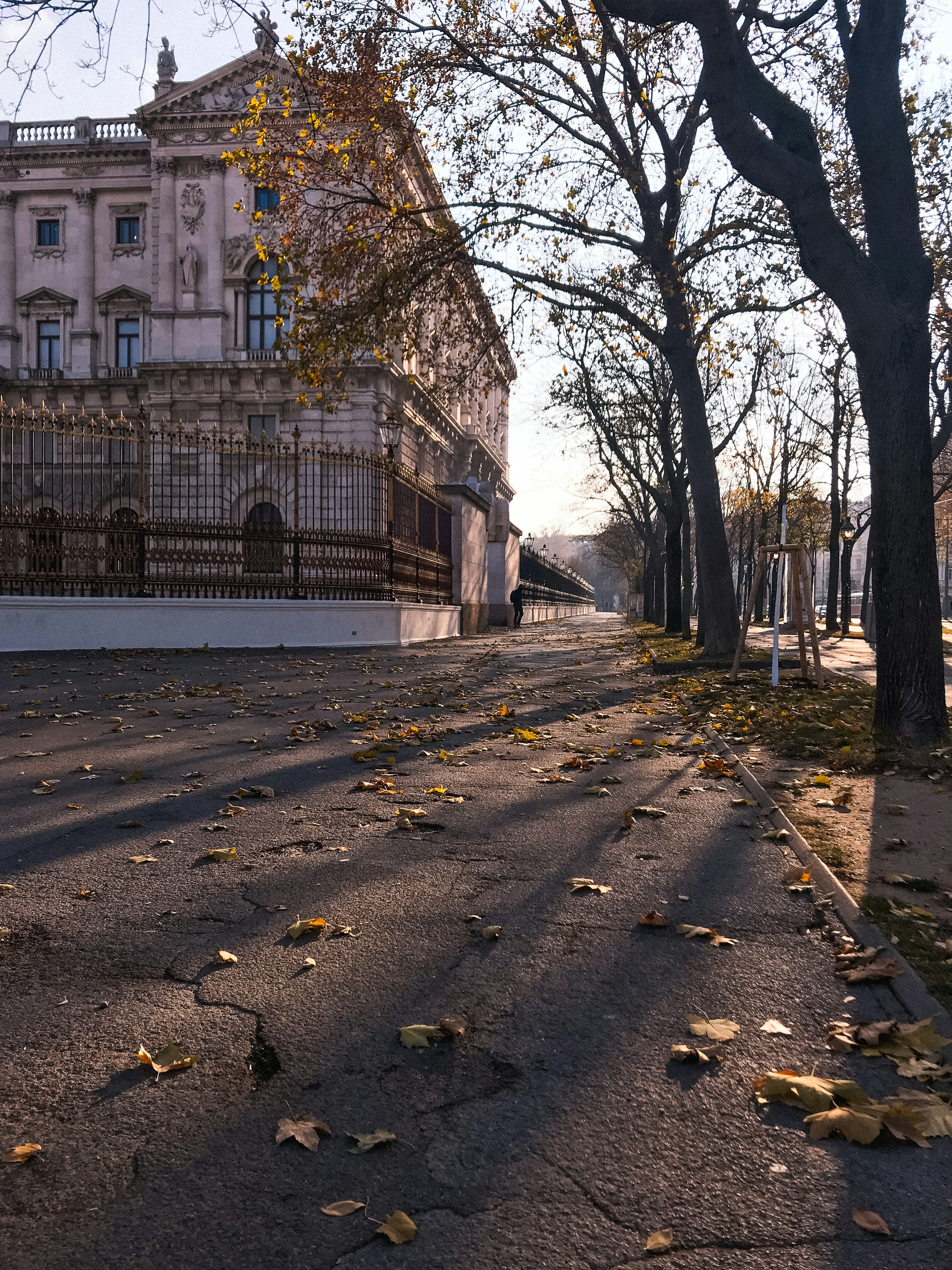 Historic building framed by autumn leaves and elongated shadows on a quiet street. The scene captures the essence of a tranquil fall day.