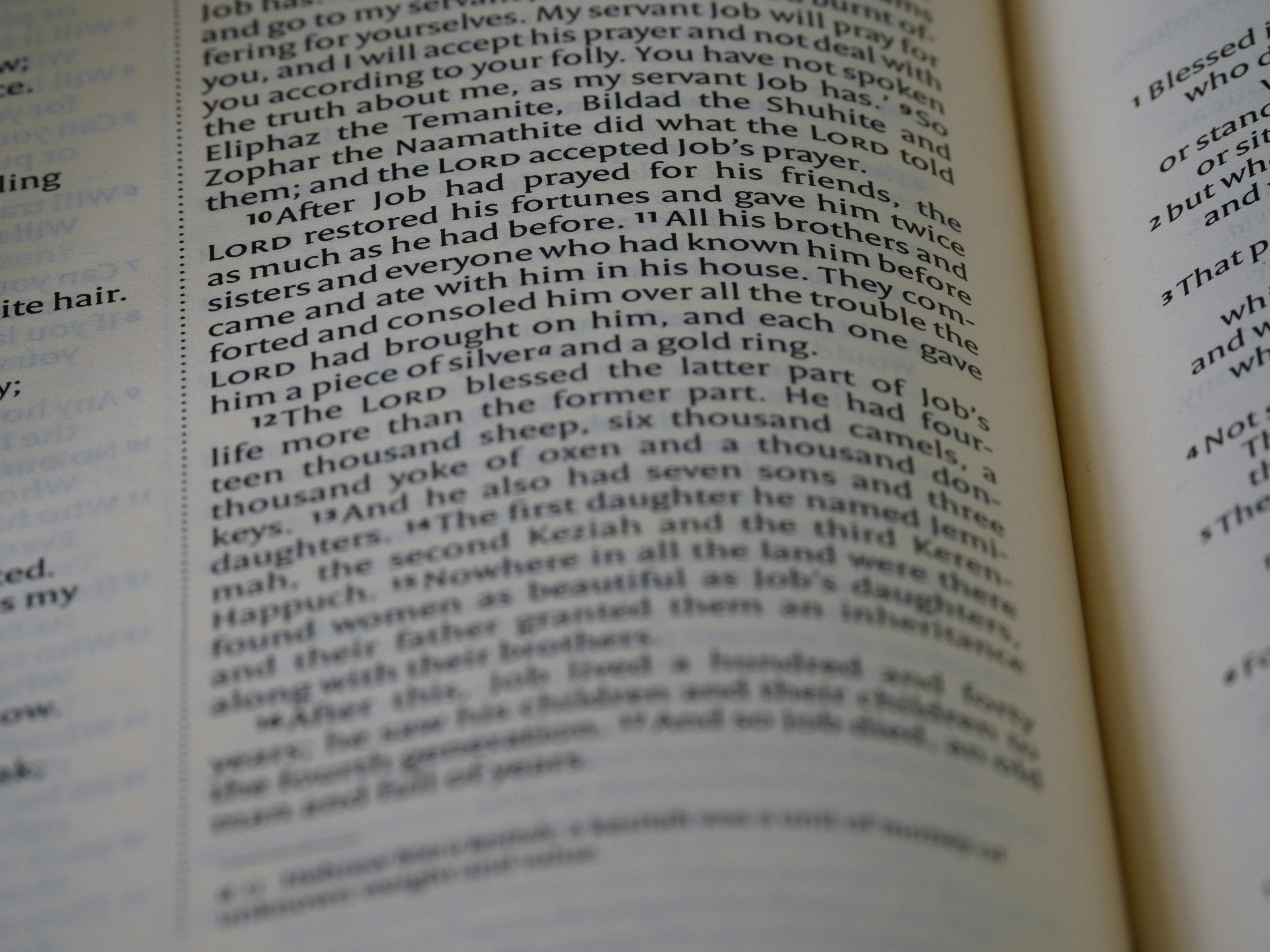 Between the Lines: Close-Up of a Bible Page in Soft Focus