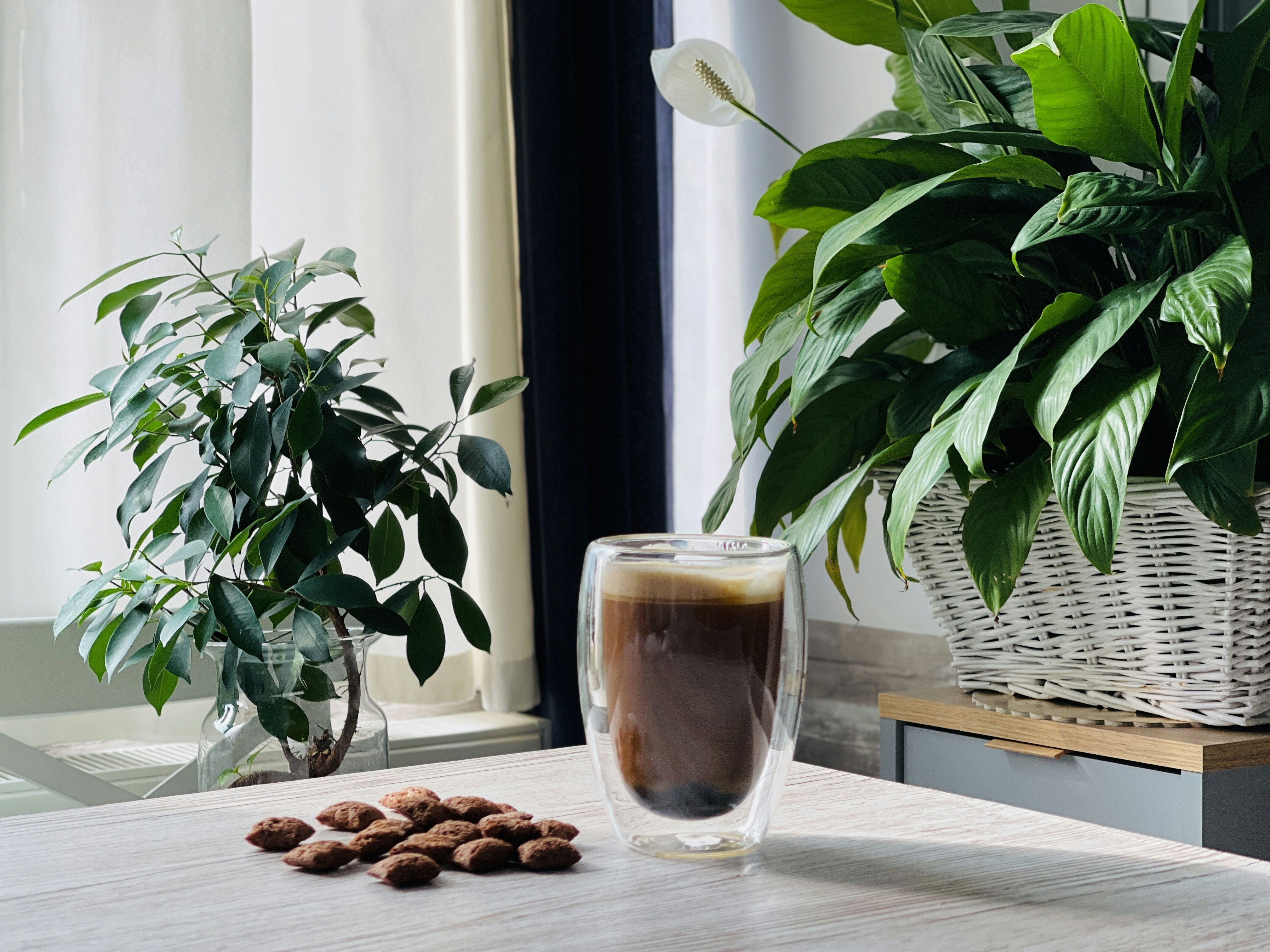 Morning Brew Amidst Greenery