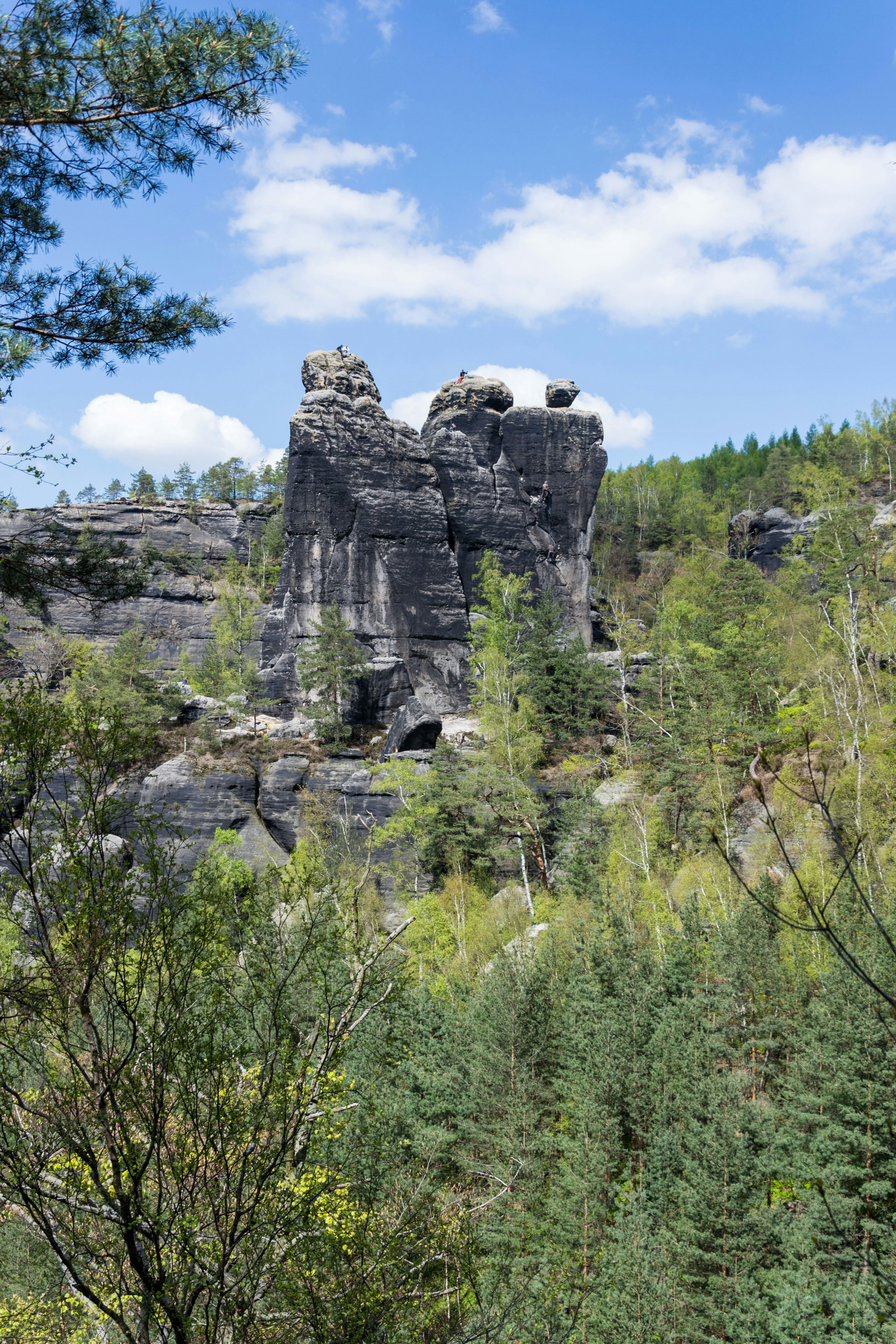 Une grande formation rocheuse au milieu d’une forêt photo – Photo ...
