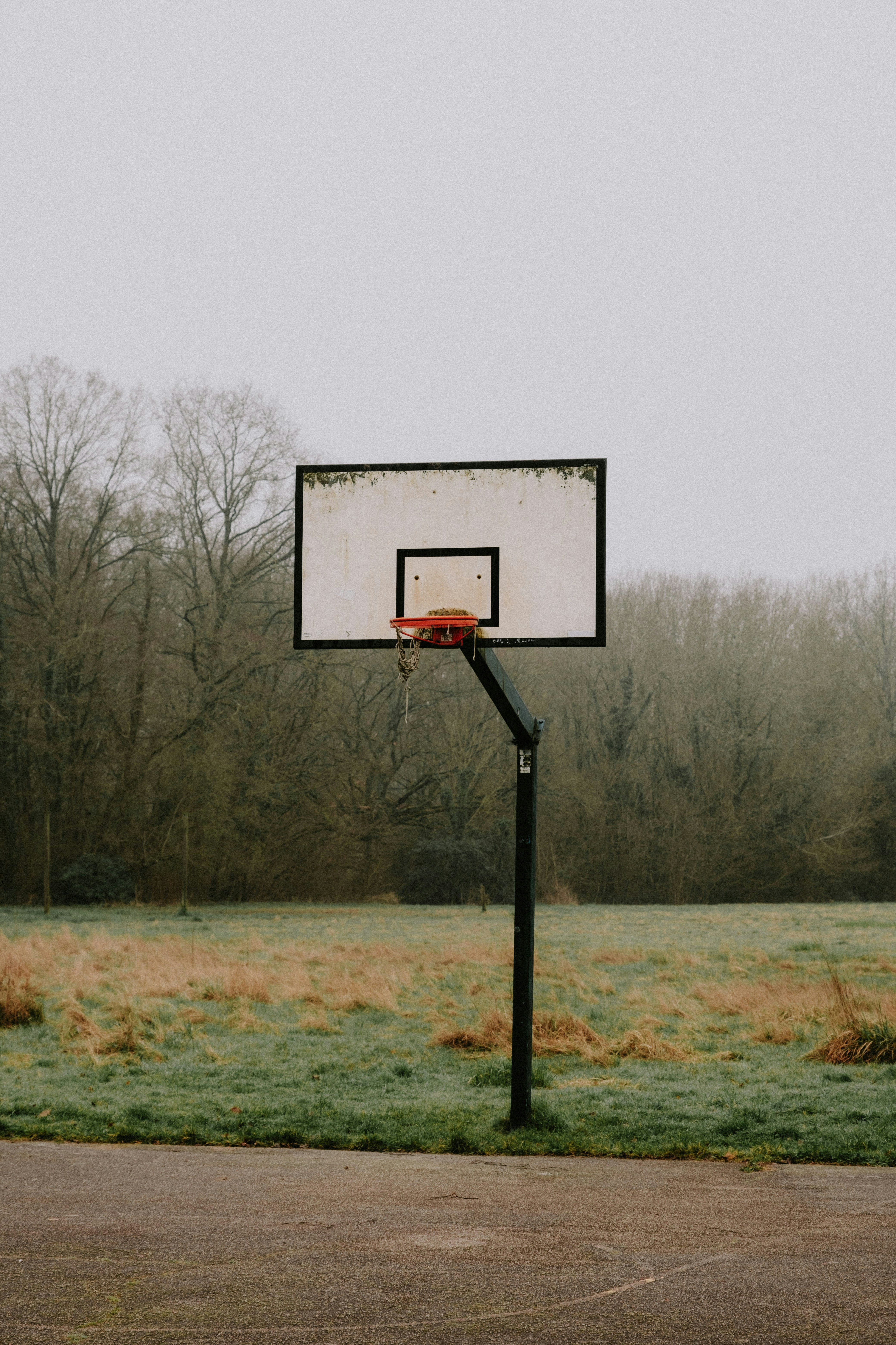 a basketball hoop in a grassy field with trees in the background