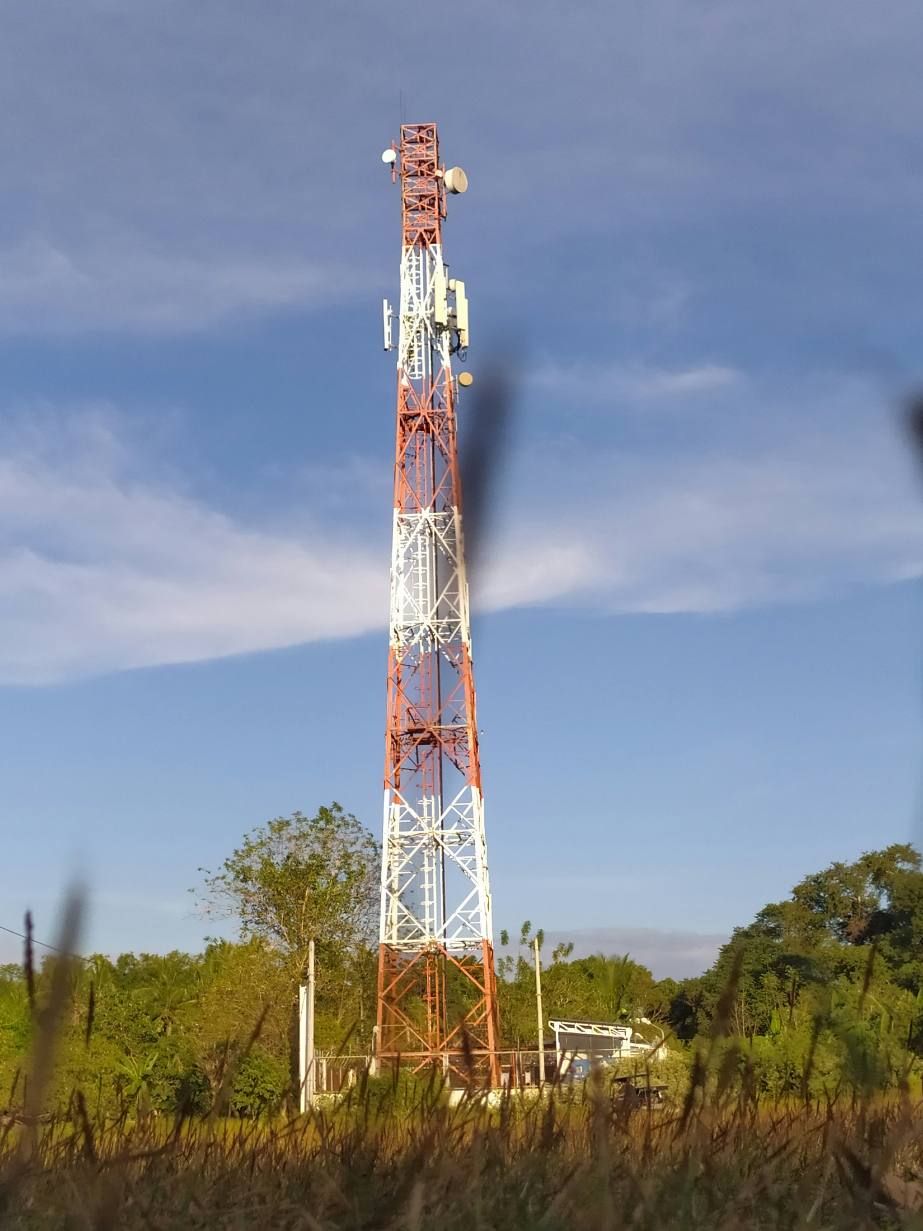 Telecommunications tower standing tall against a clear blue sky, surrounded by lush greenery. The structure is a vital connection point in the landscape.