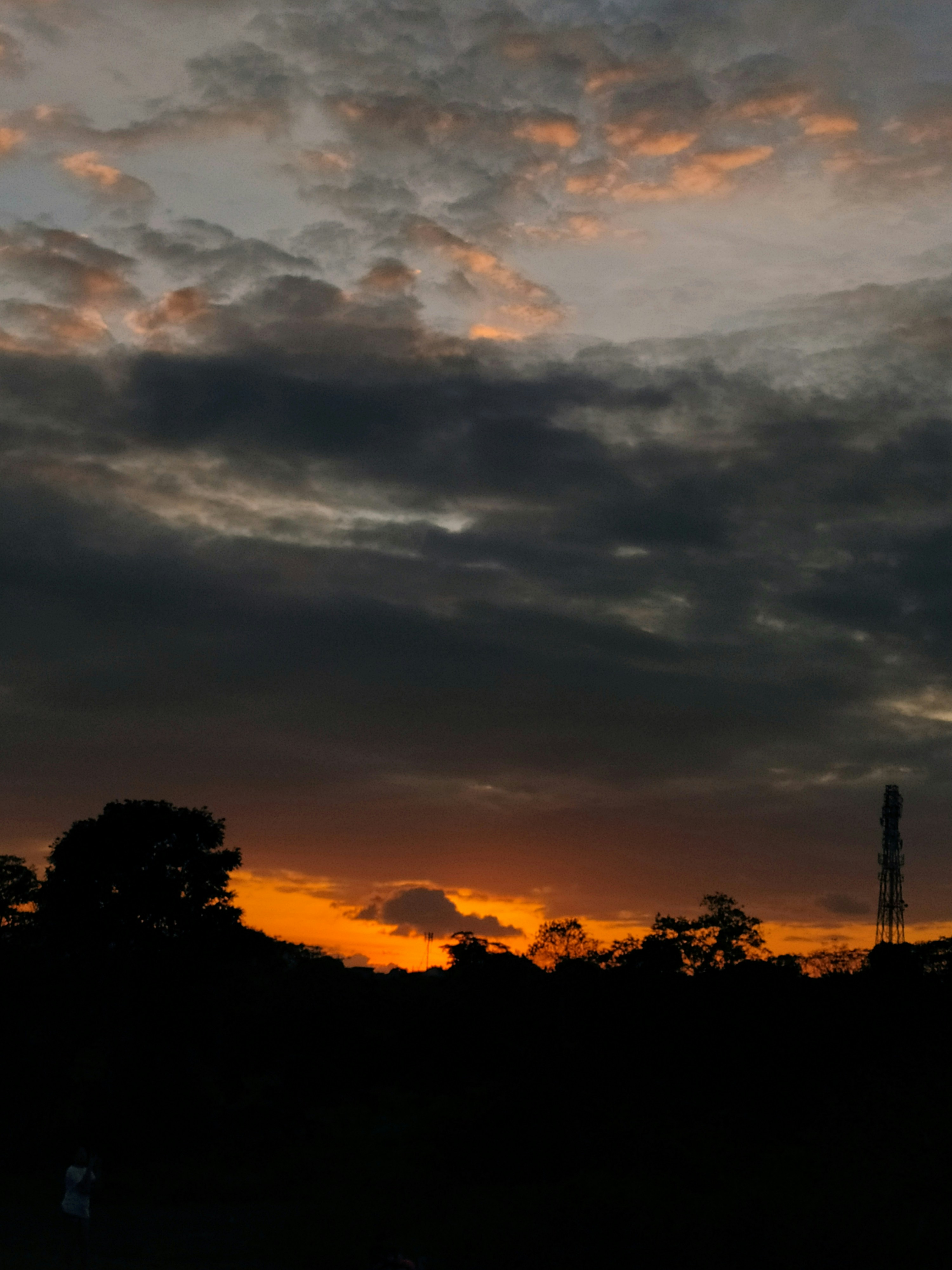 Twilight's Embrace: A Dance of Shadows and Light