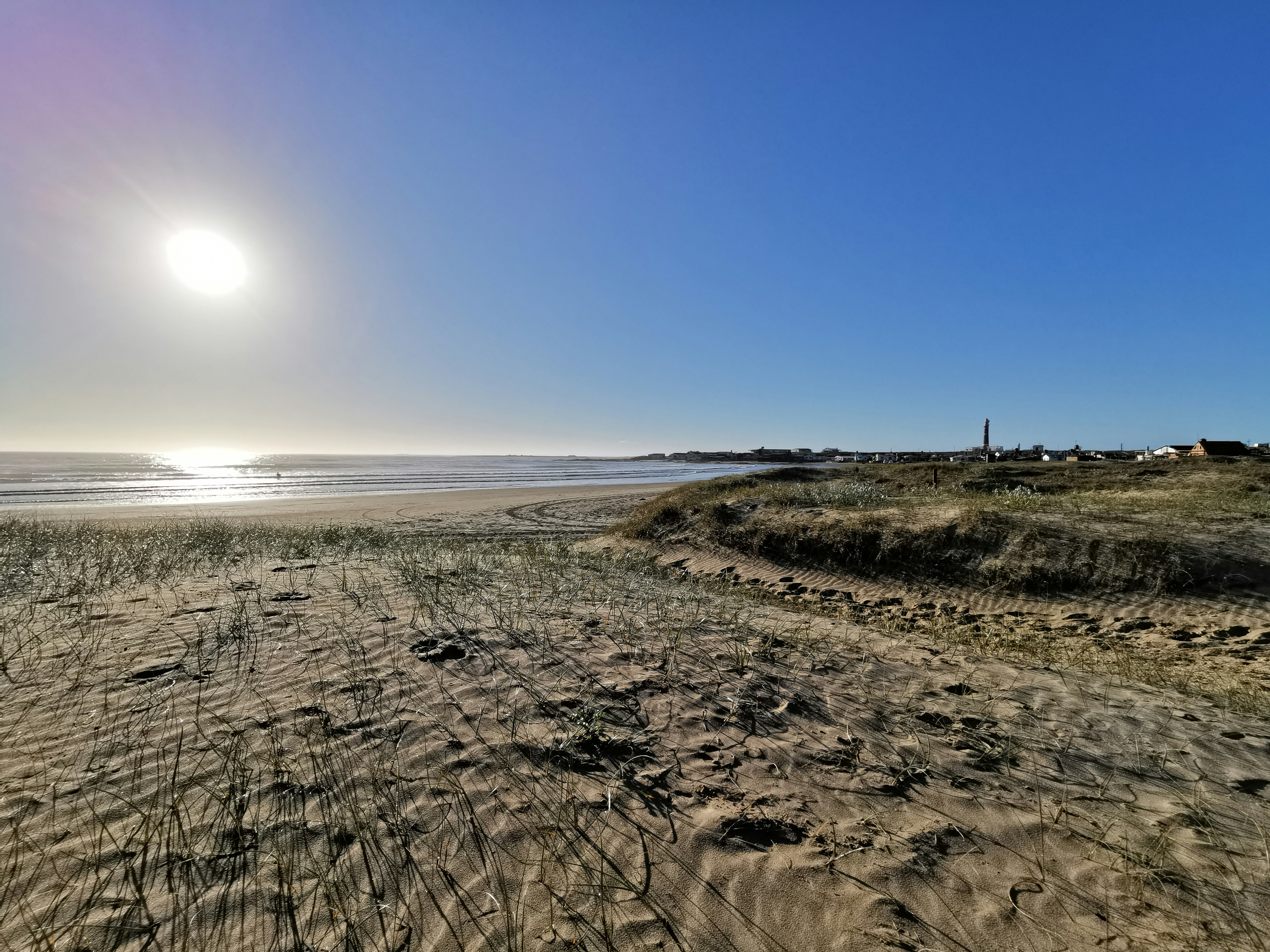 Sunlit Dunes and the Distant Coastline Under a Clear Coastal Sky