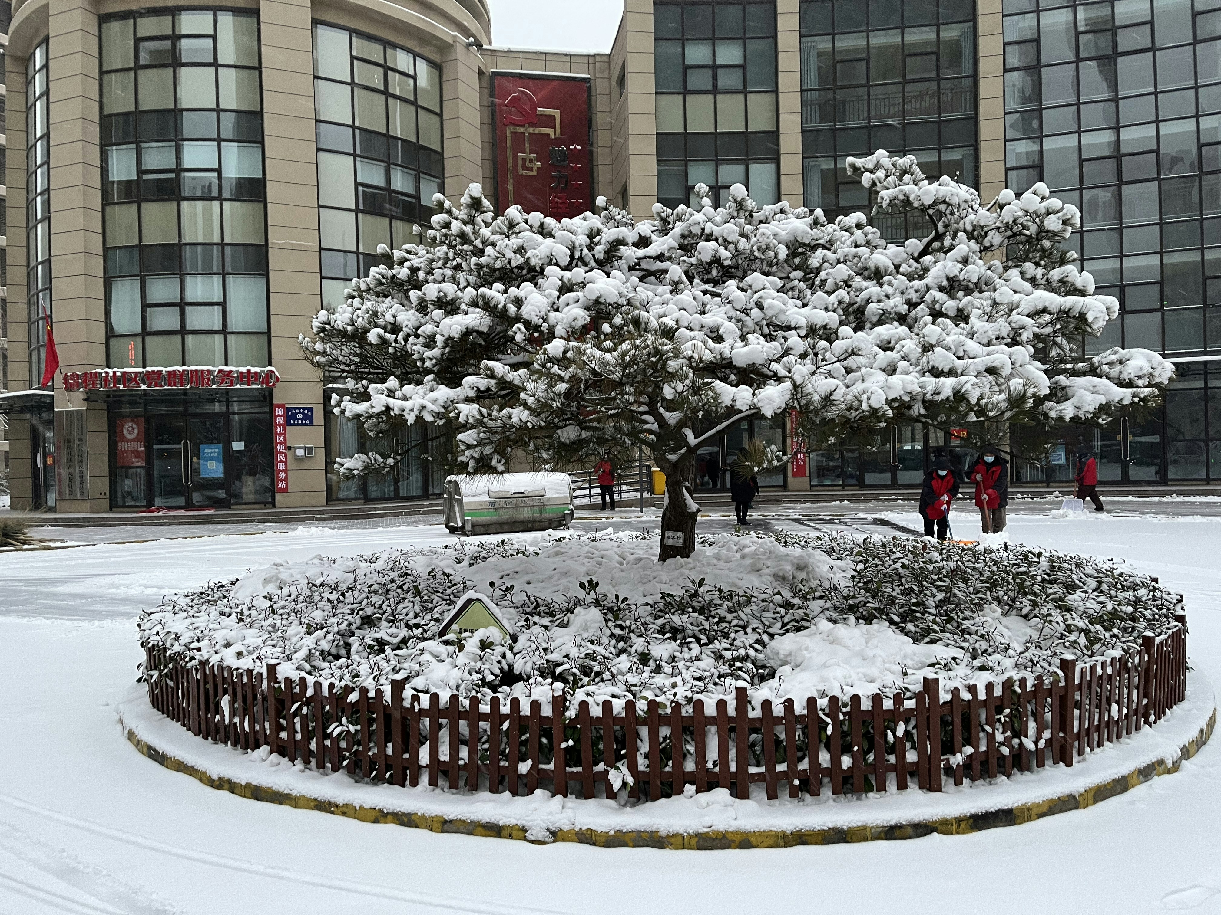 a snow covered tree in front of a building