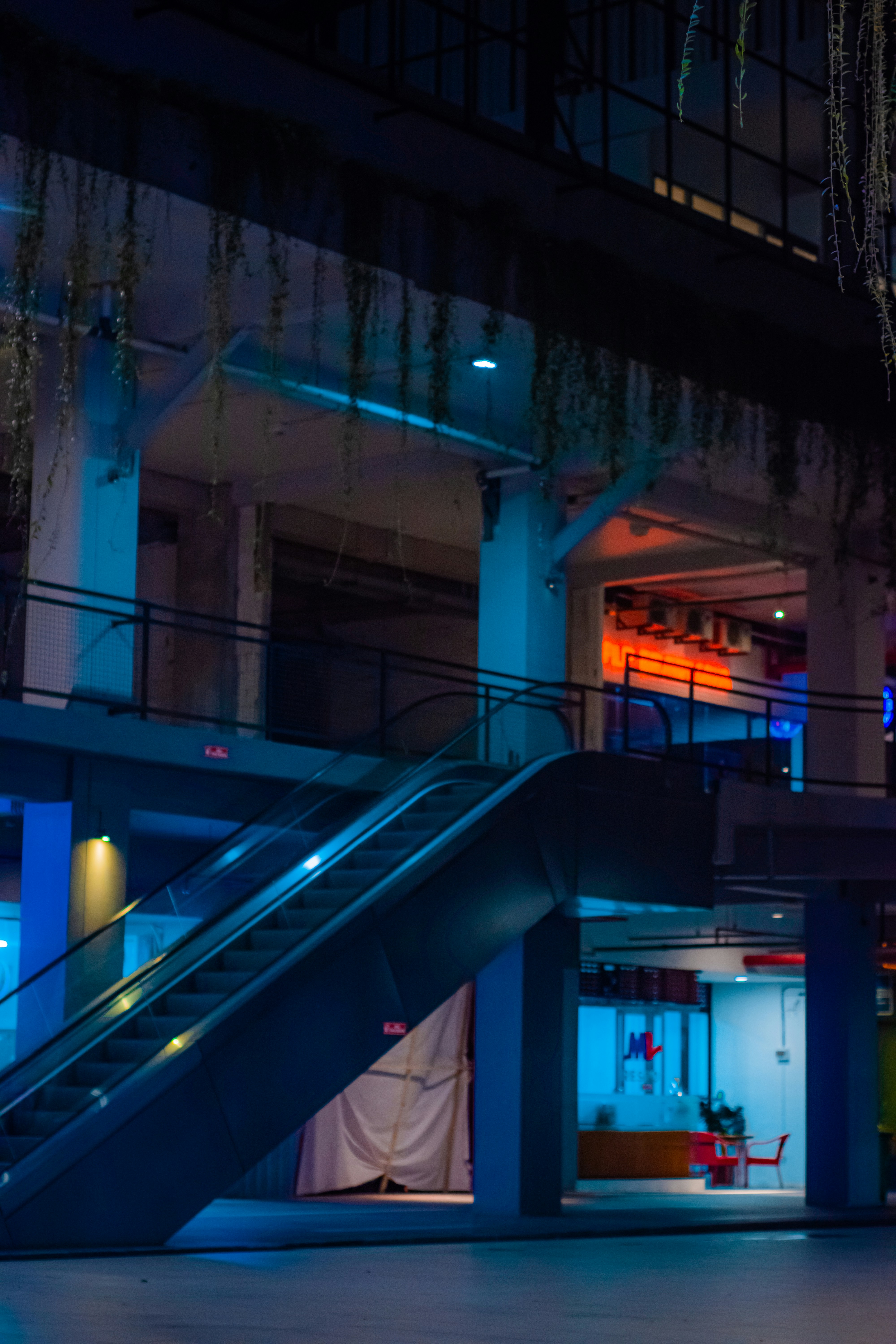 A man riding a skateboard down an escalator photo – Free Banister Image ...