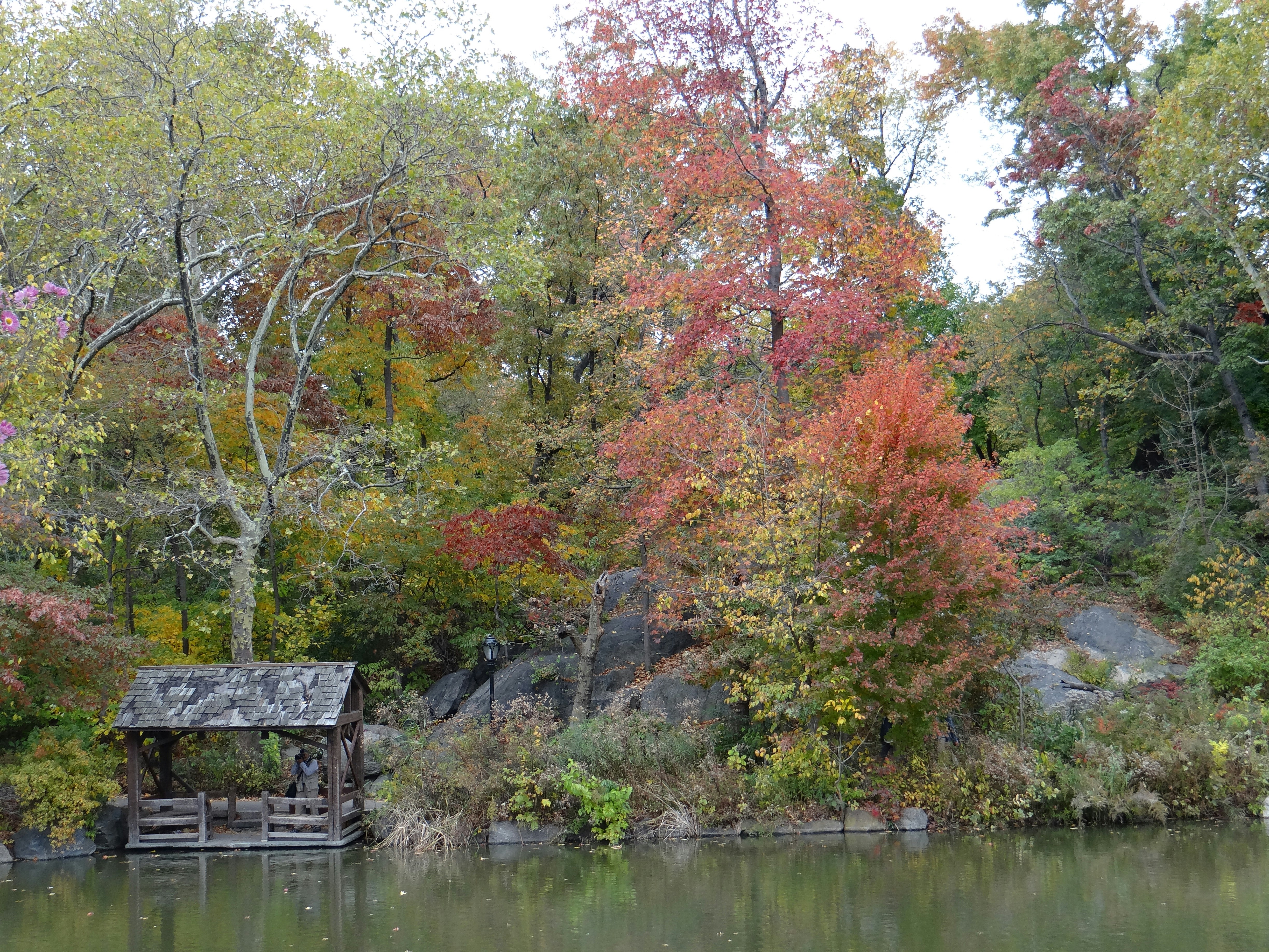 Rustic gazebo nestled among vibrant autumn foliage reflecting in a serene pond. The scene captures the tranquil beauty of nature's seasonal transformation.