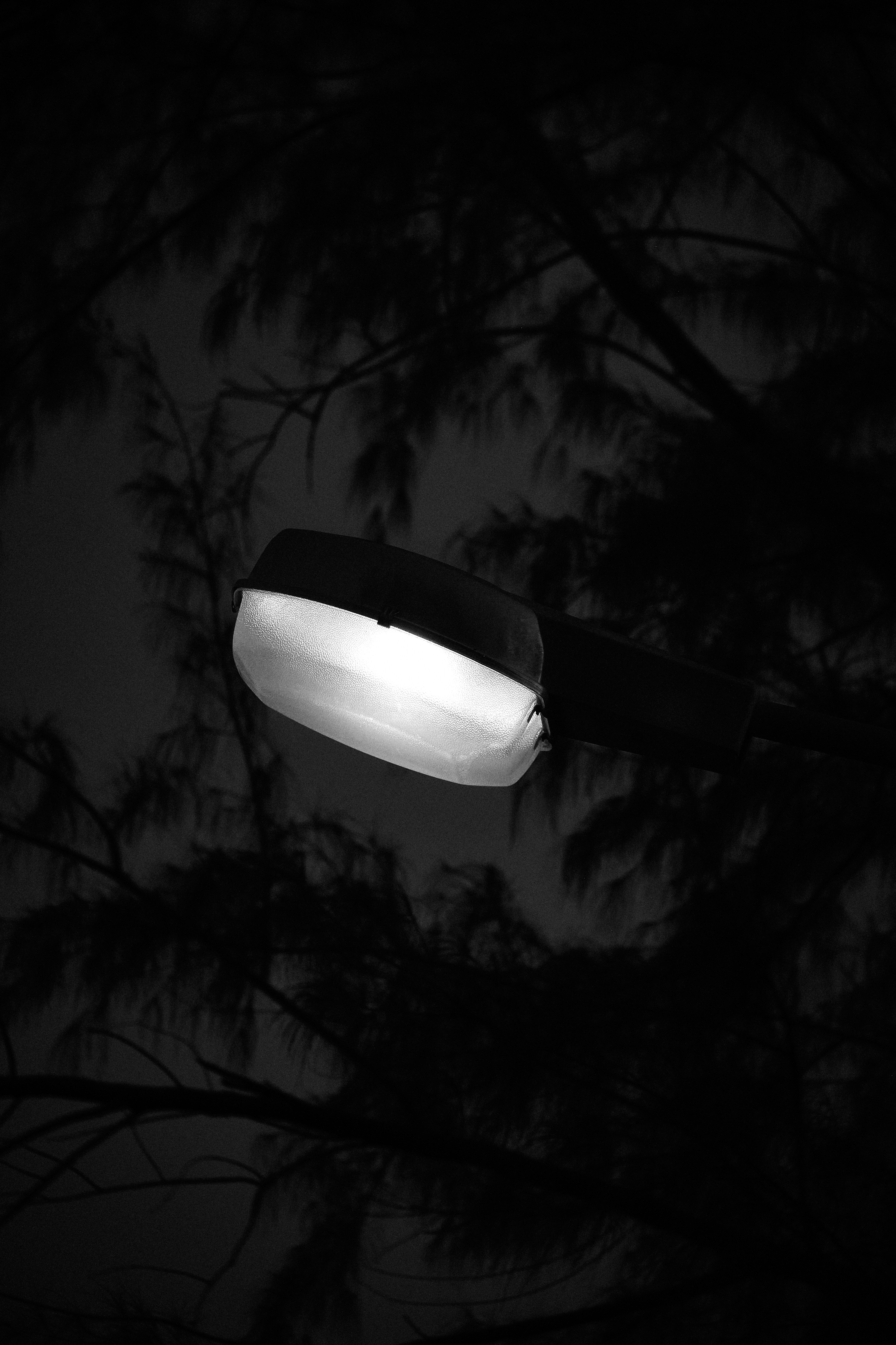 A black and white photo of a street light photo – Free Grey Image on ...