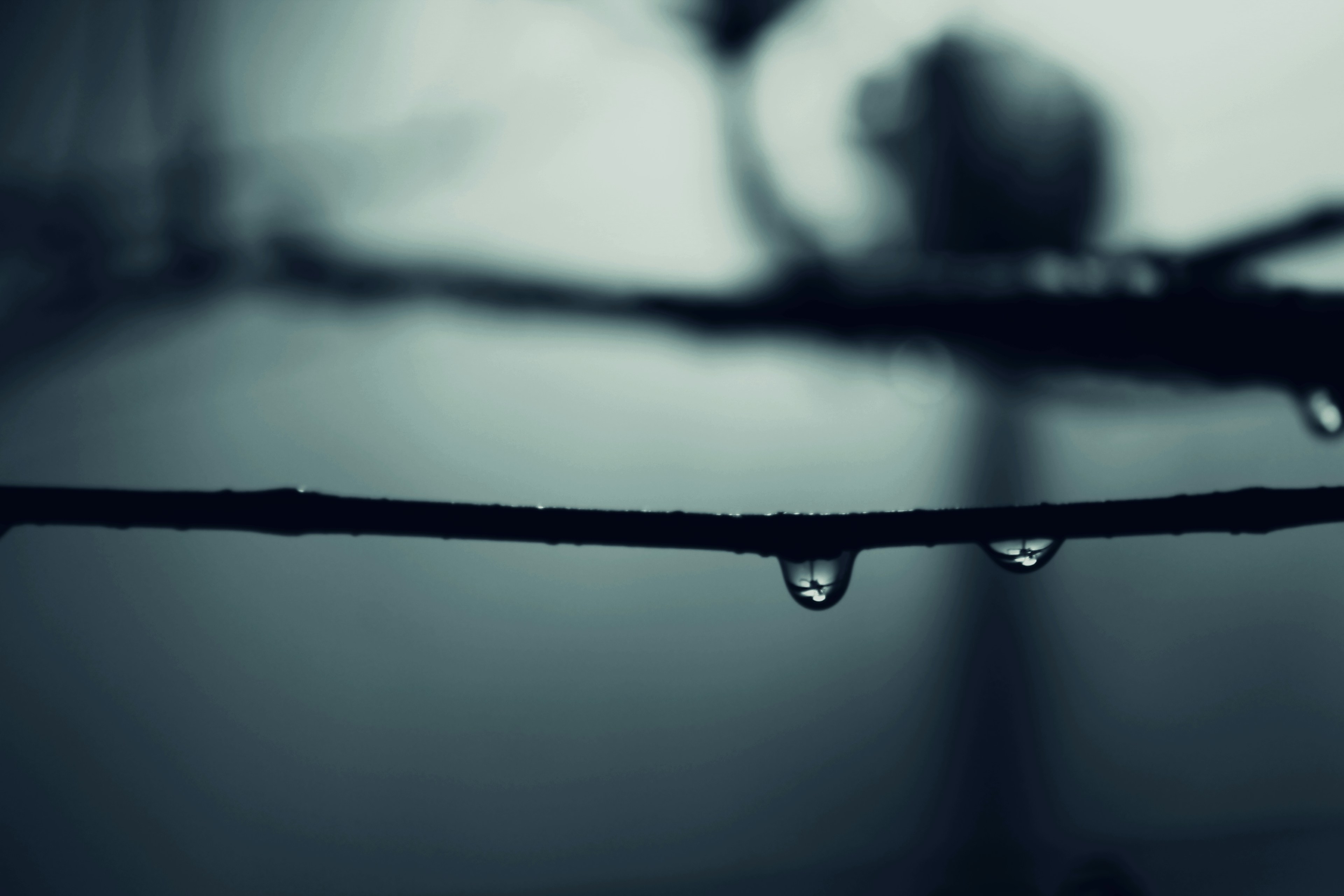 Una foto en blanco y negro de gotas de agua en un cable foto – Imagen ...