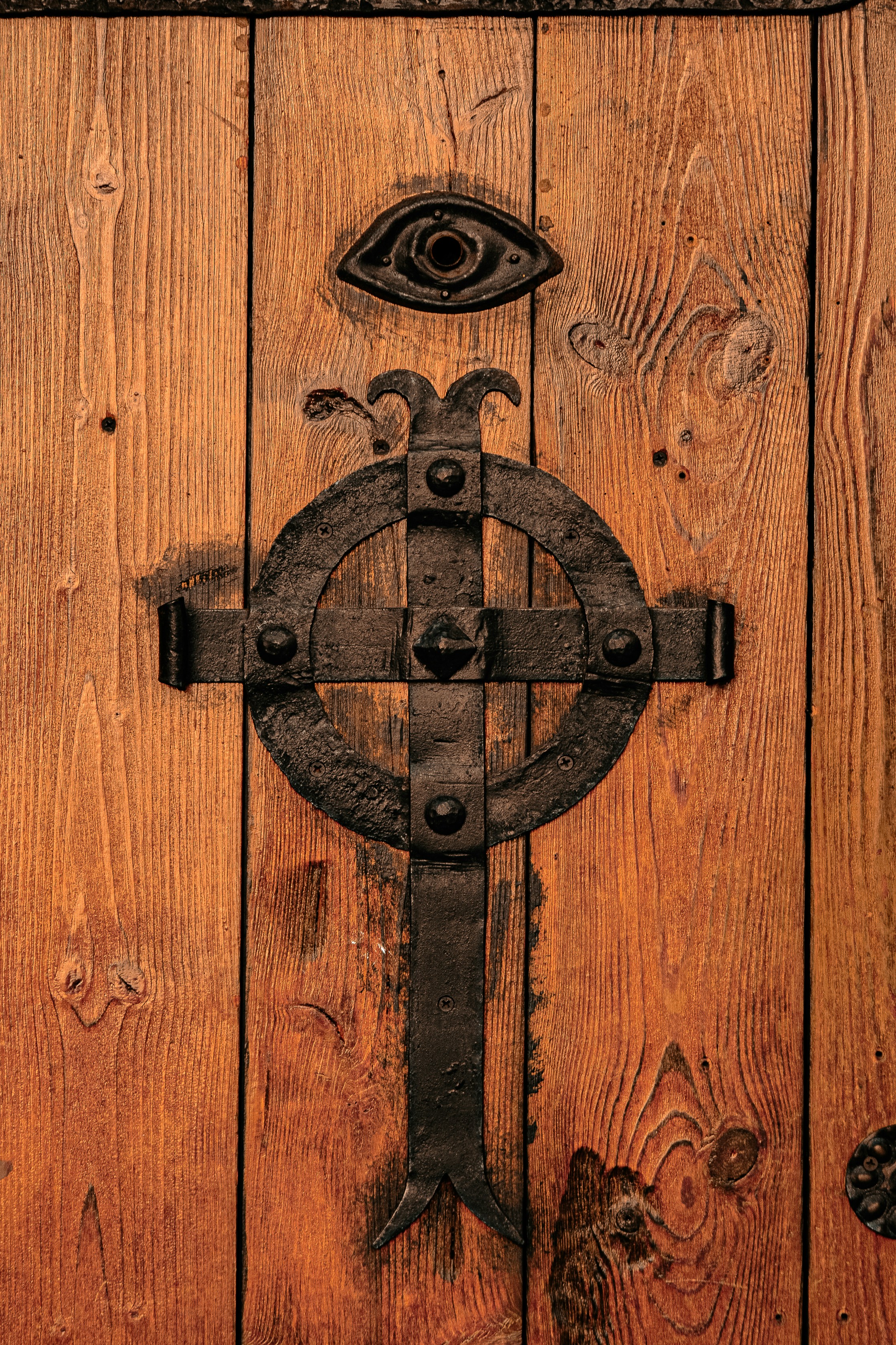 Intricately designed iron emblem affixed to a weathered wooden door, symbolizing protection and mystery.