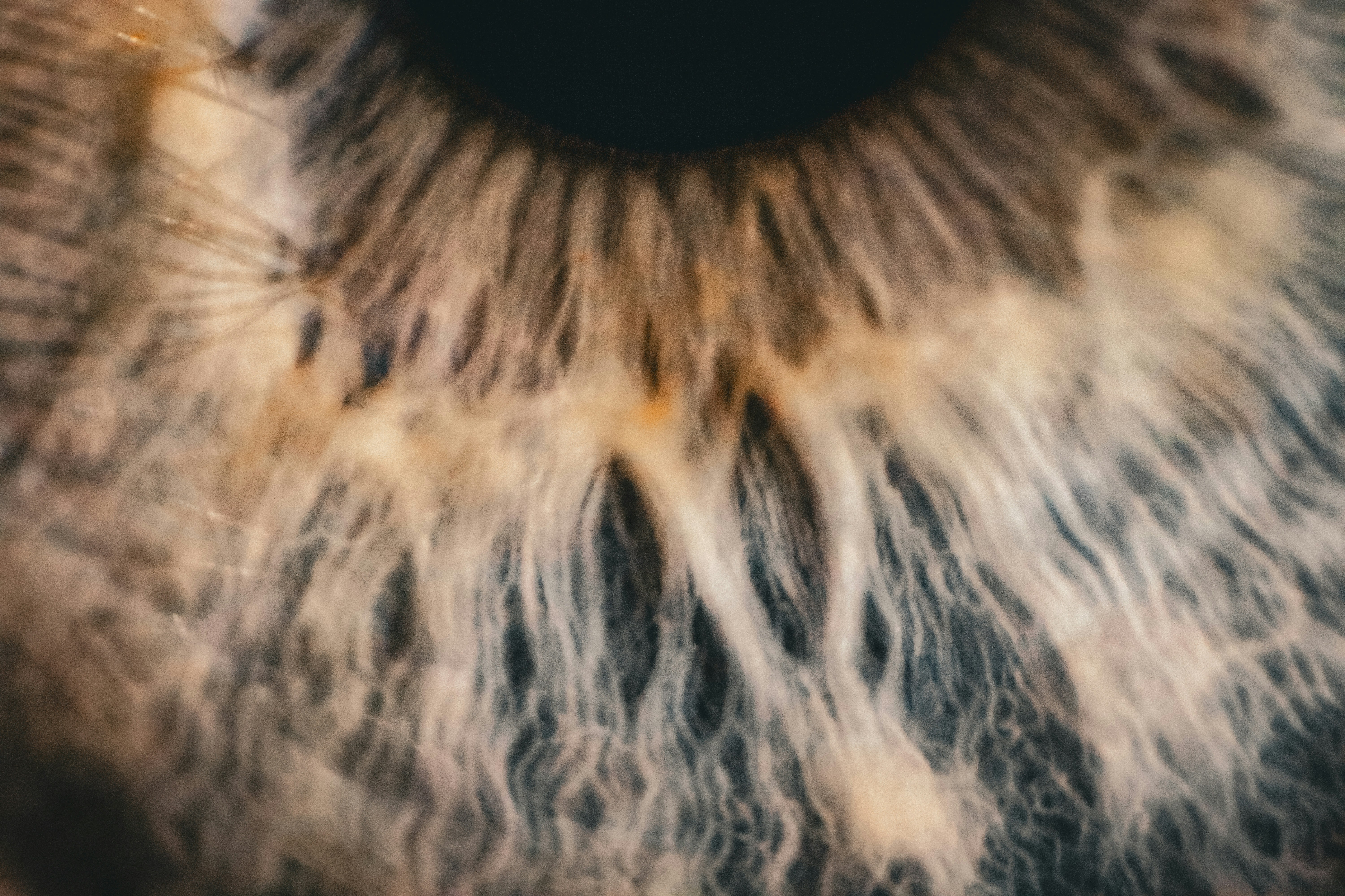 Close Eyes Pictures | Download Free Images on Unsplash