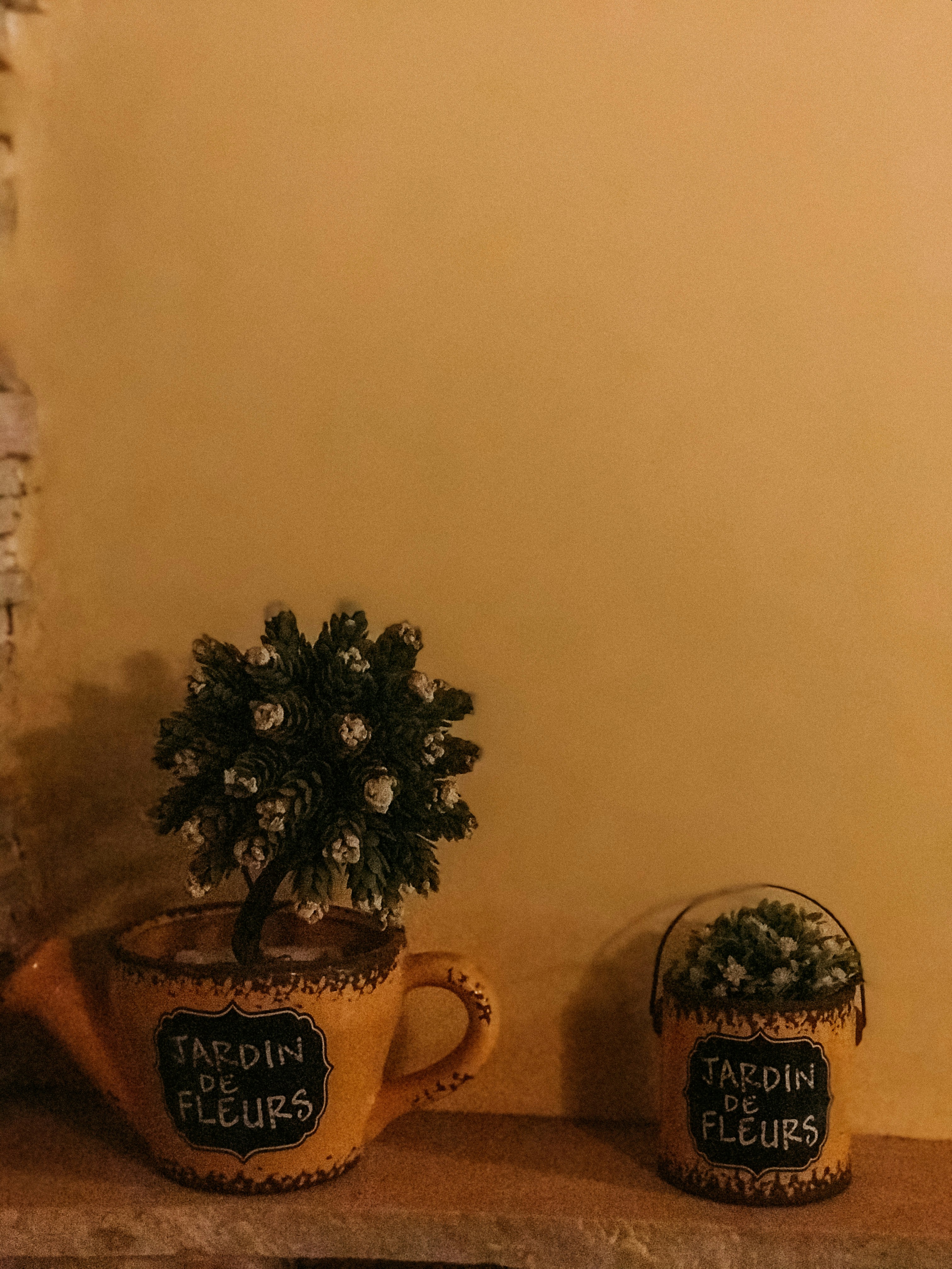 a potted plant sitting on top of a shelf