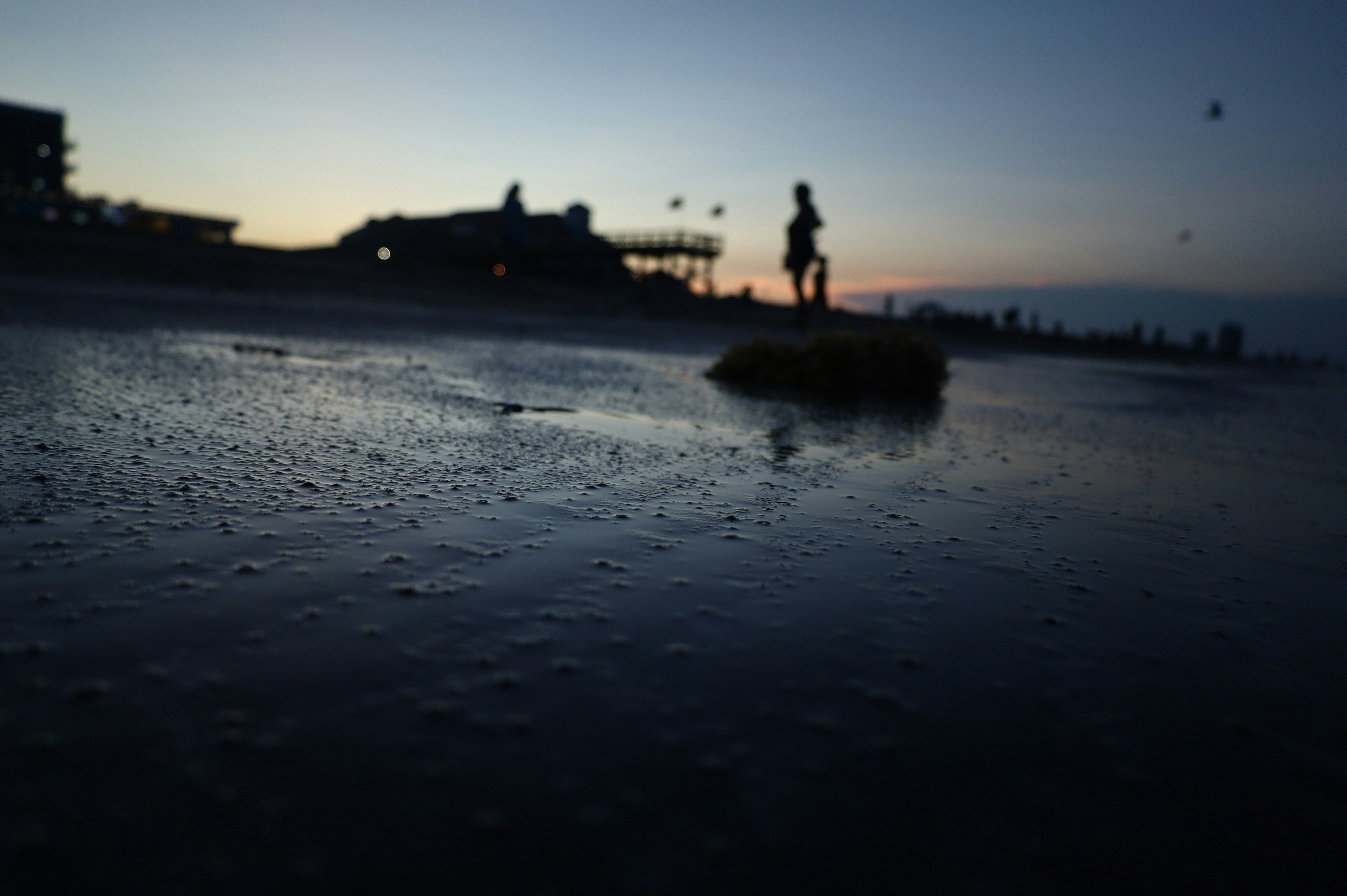 Silhouetted Figure at Dusk: A Quiet Beachwatch