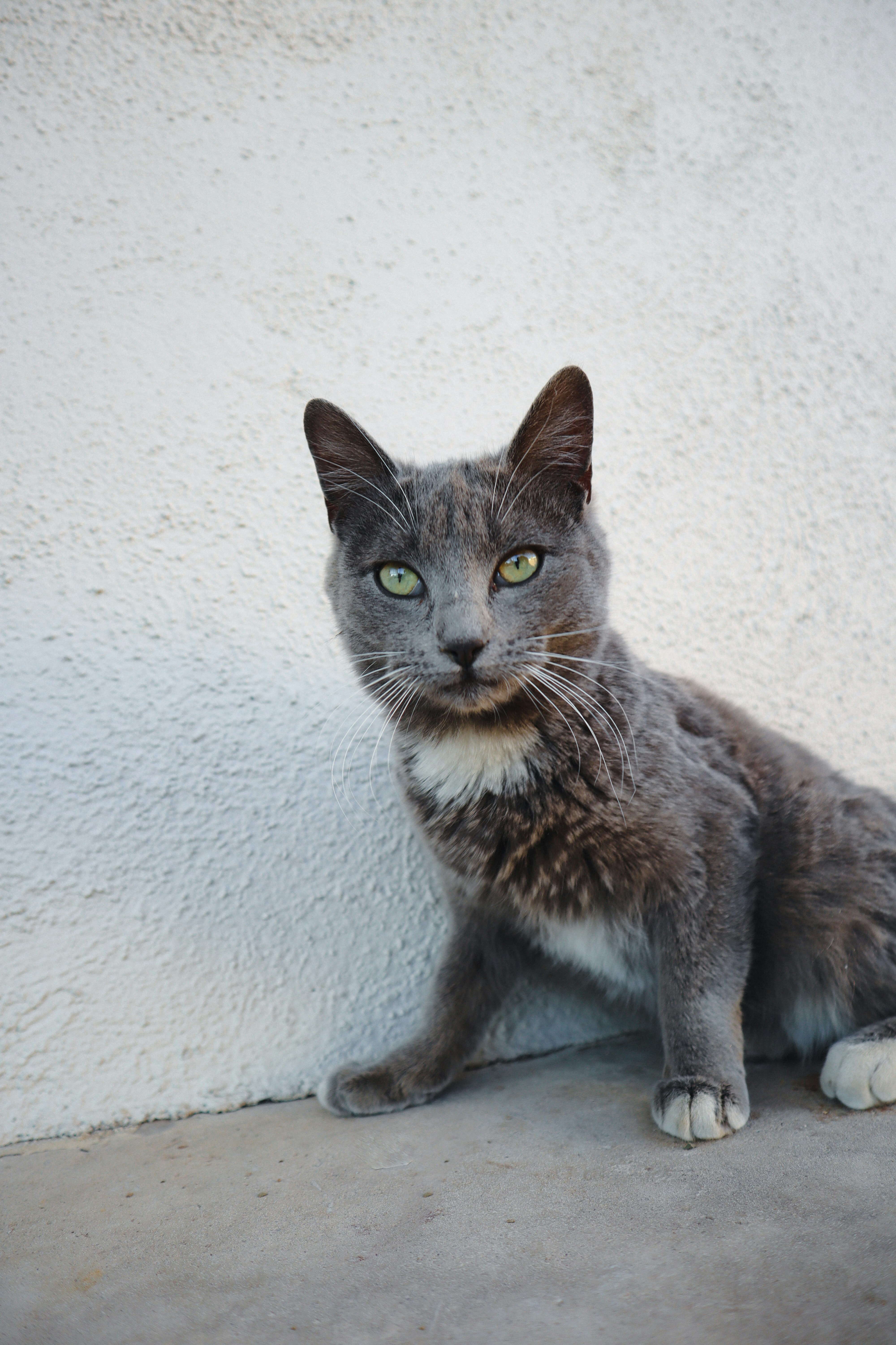 Phoenix Bridge Company Photos | Télécharger des images gratuites sur ...