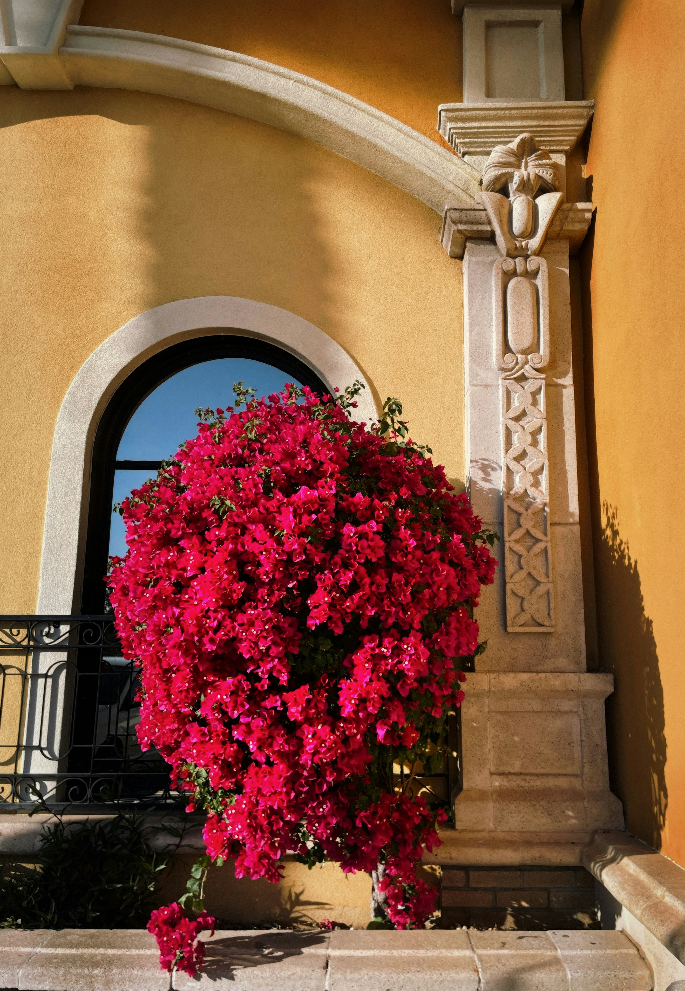 A lush bougainvillea blooms vibrantly against a warm-colored wall, framed by an elegant window and ornate architectural details.