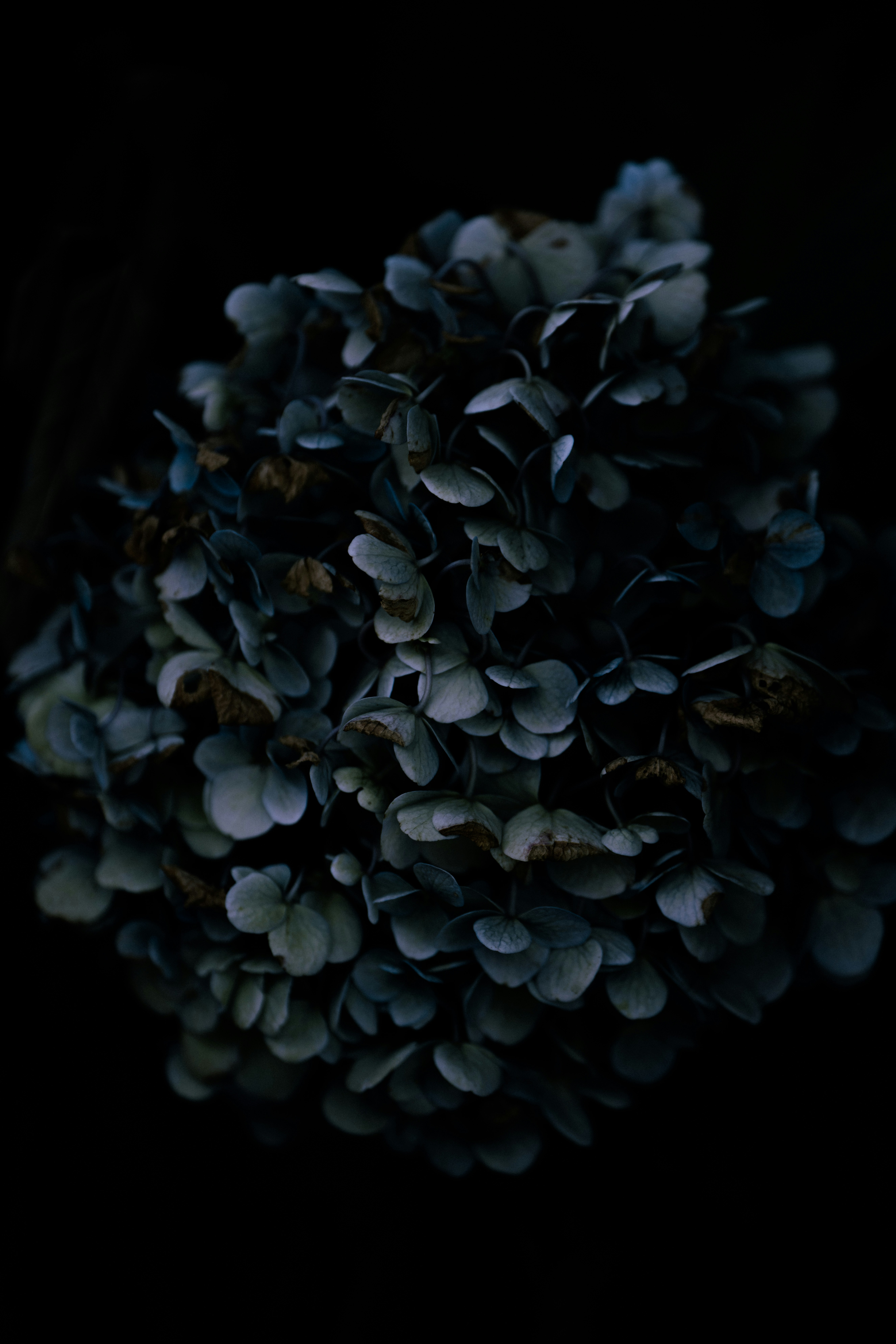 Mellow Pictures | Download Free Images on Unsplash