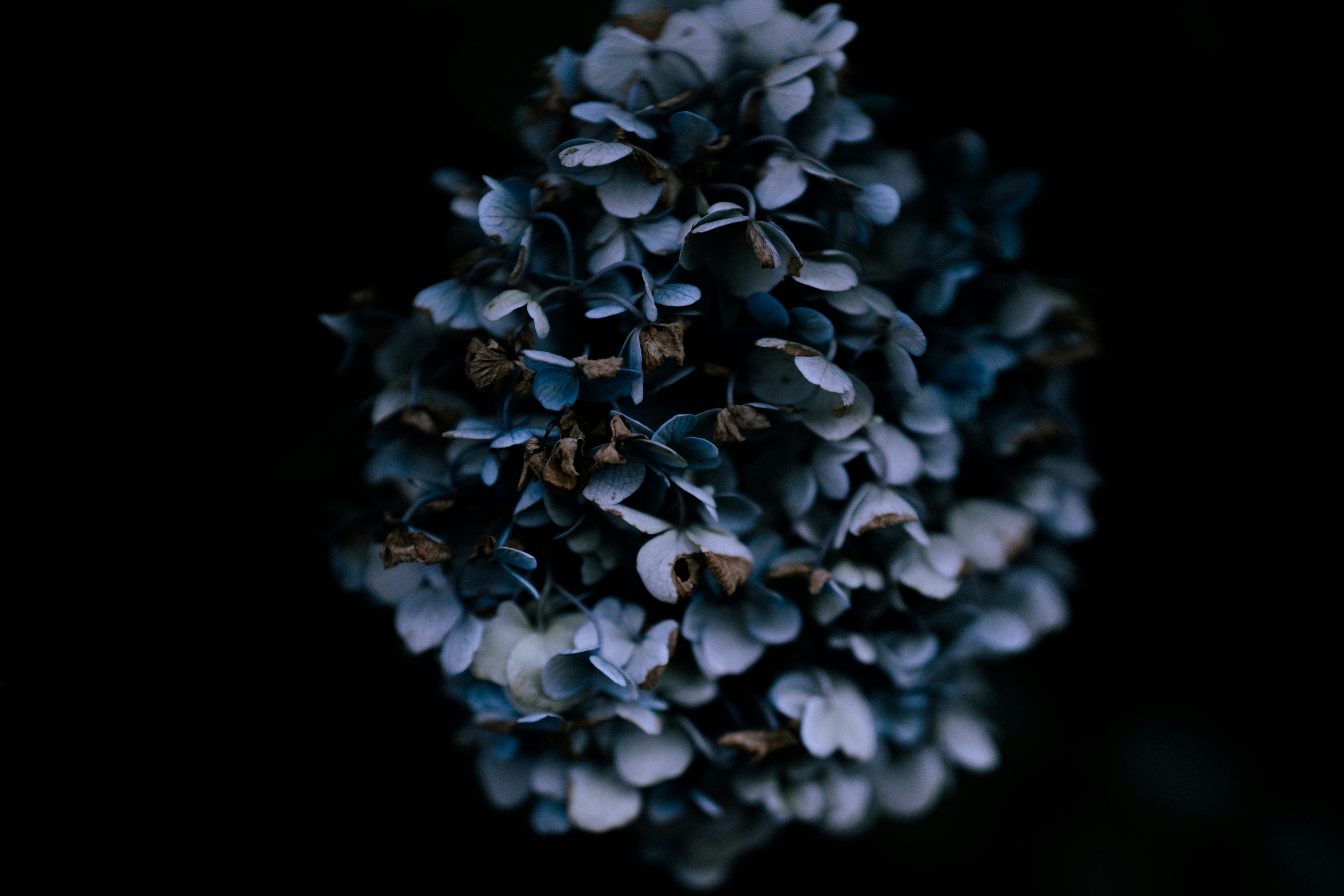 Mellow Pictures | Download Free Images on Unsplash