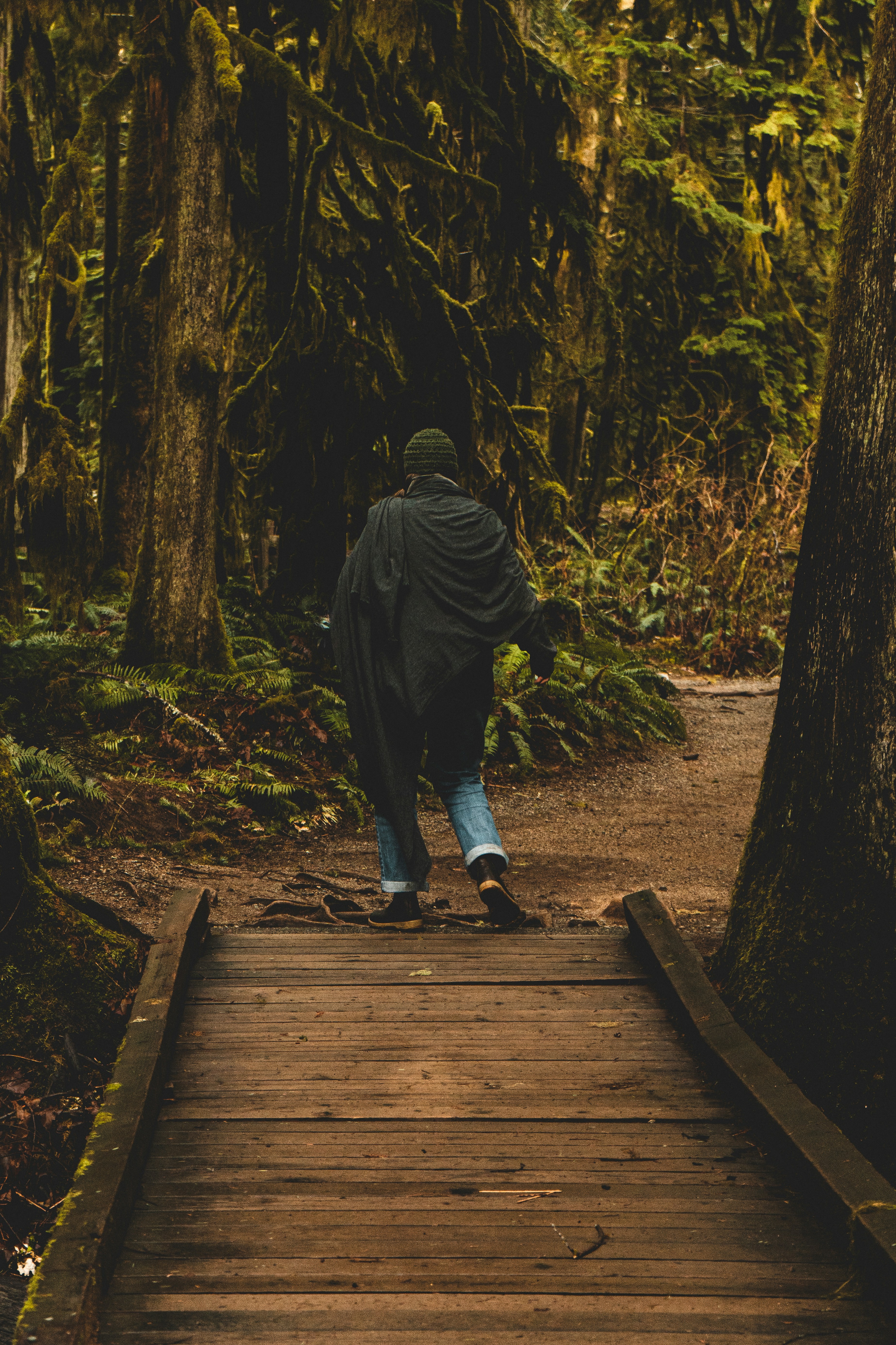 A figure draped in a cloak walks across a wooden bridge, surrounded by towering trees and lush greenery.