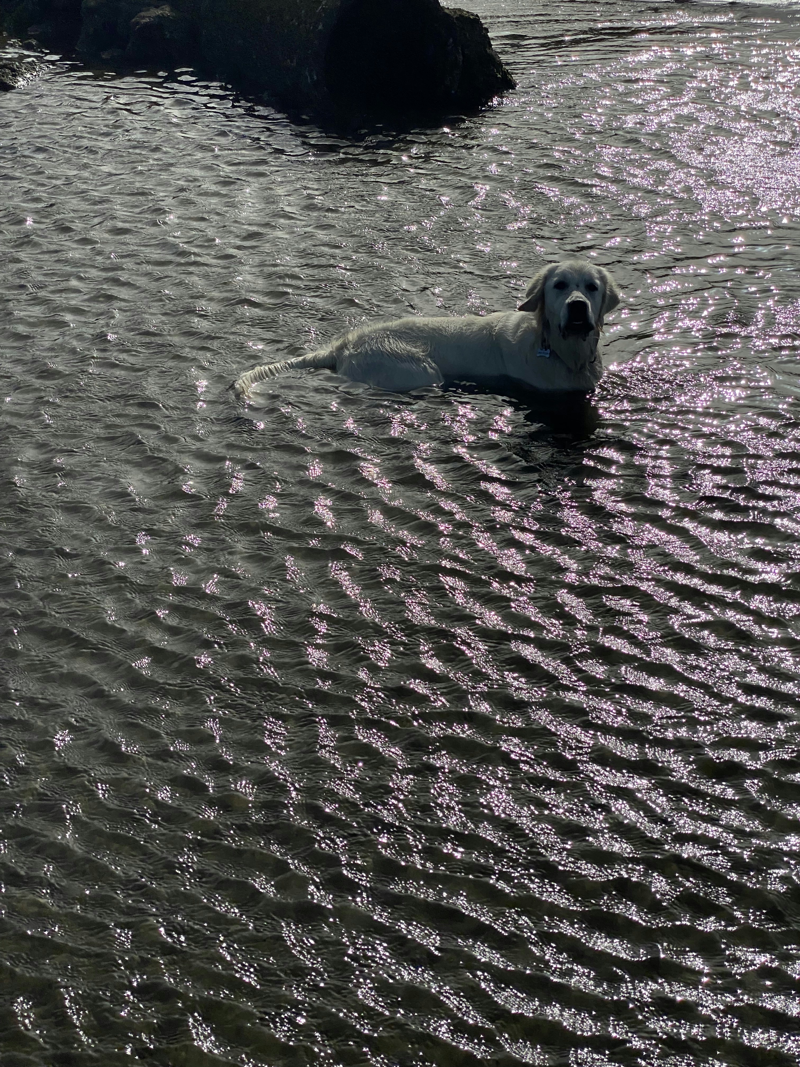 Elliot Bailey (@elliotbailey) | Unsplash Photo Community