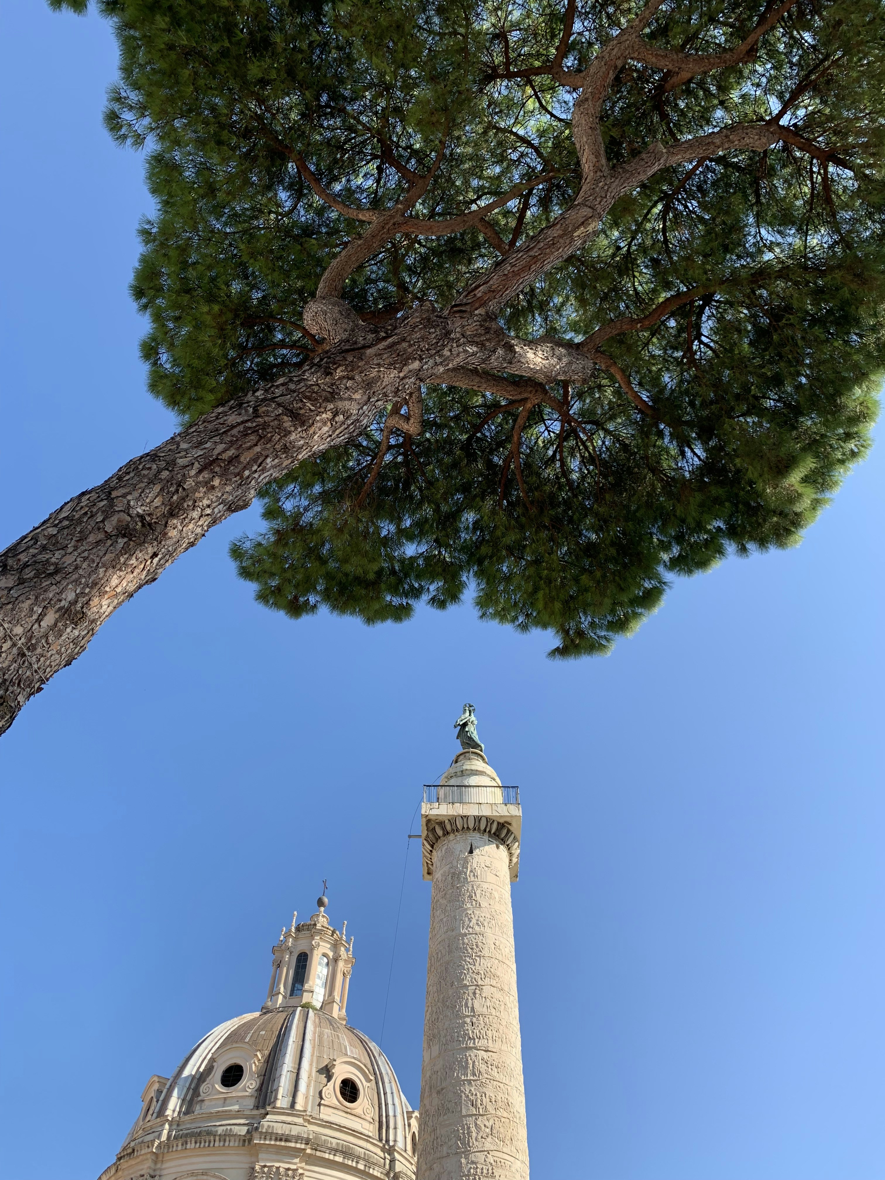 A tall white building with a tree in front of it photo – Free Rome ...