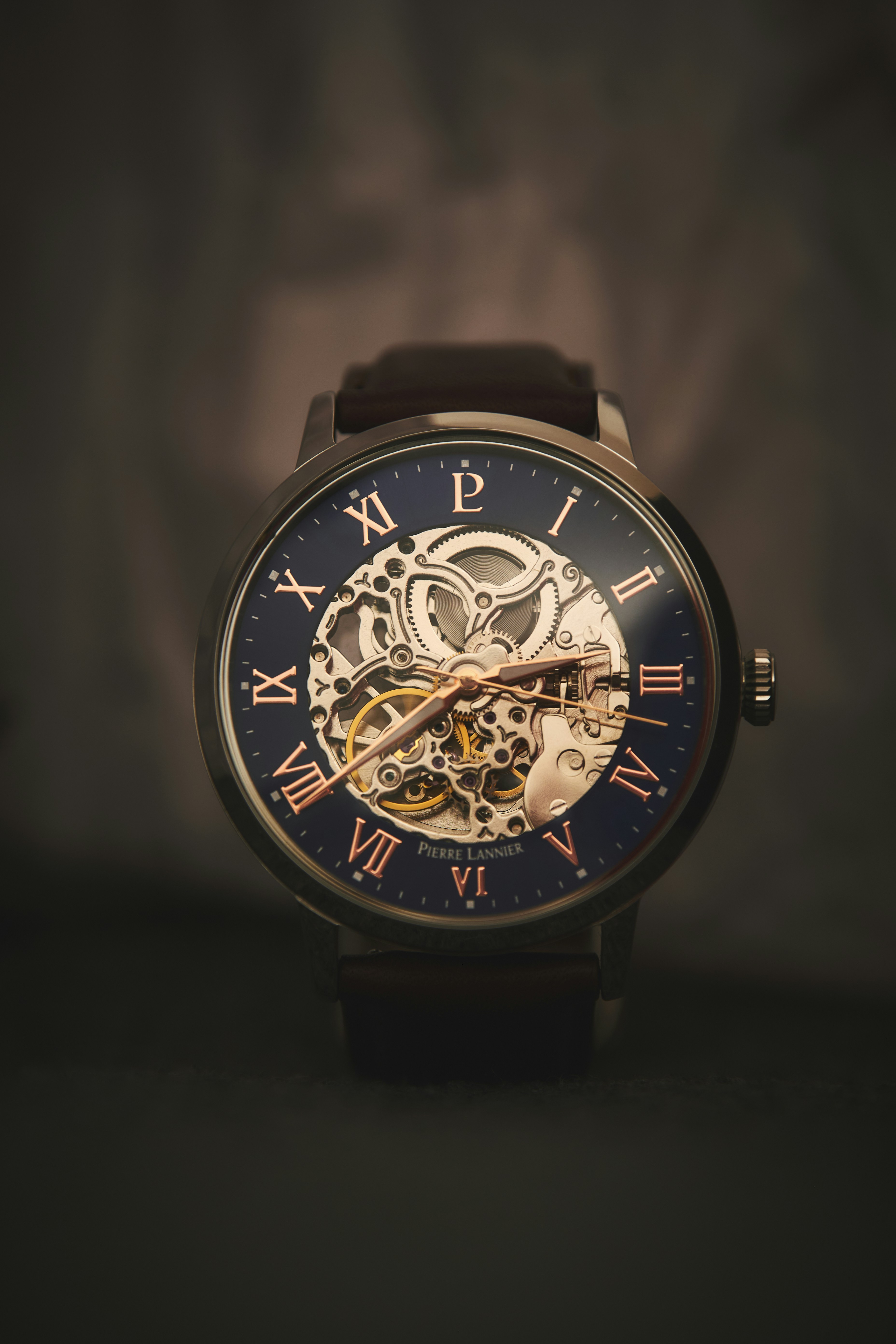 Définition de éclaircie sélective | Dictionnaire français | La langue ...