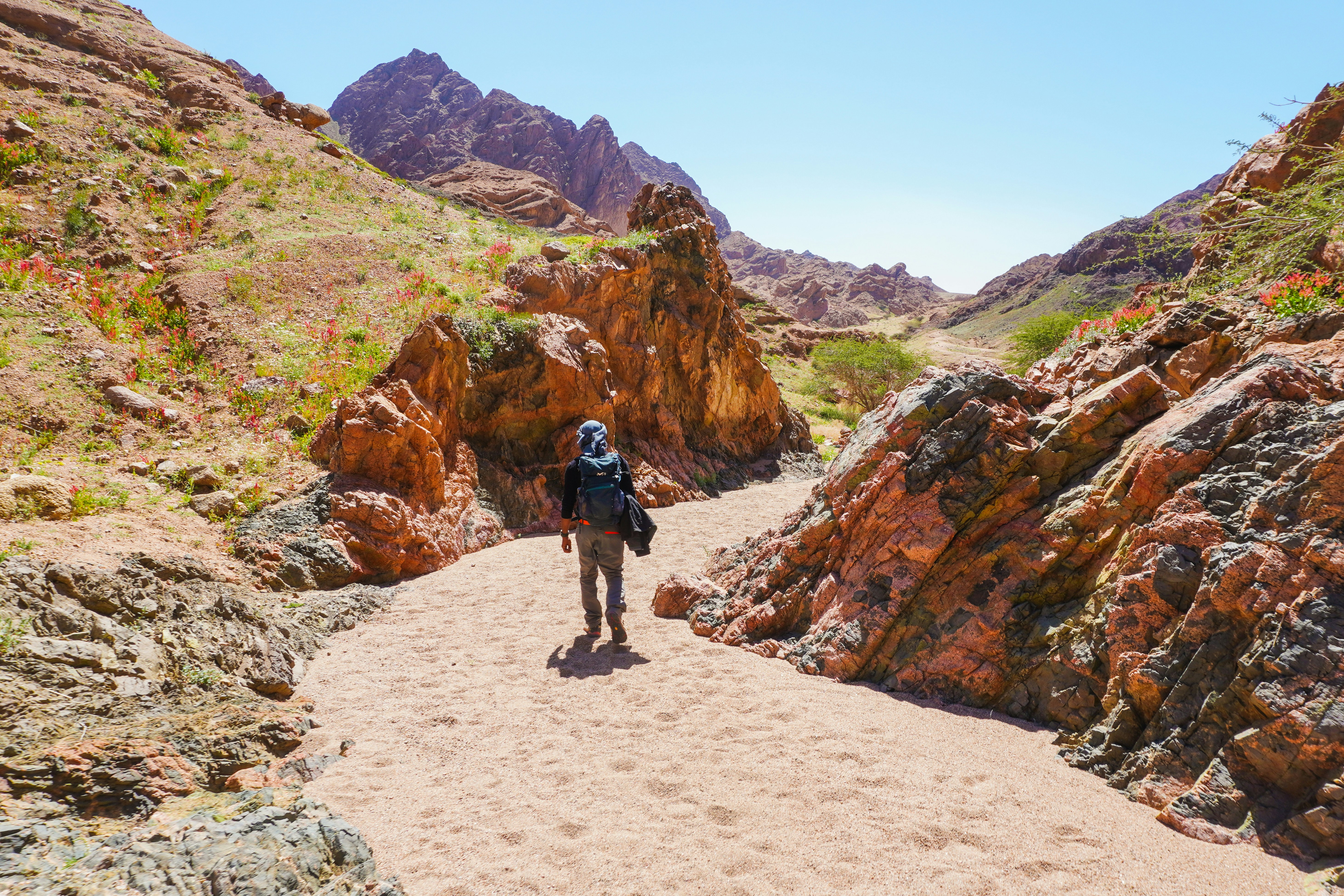 A person walking up a trail in the mountains photo – Free Wadi tayyib ...
