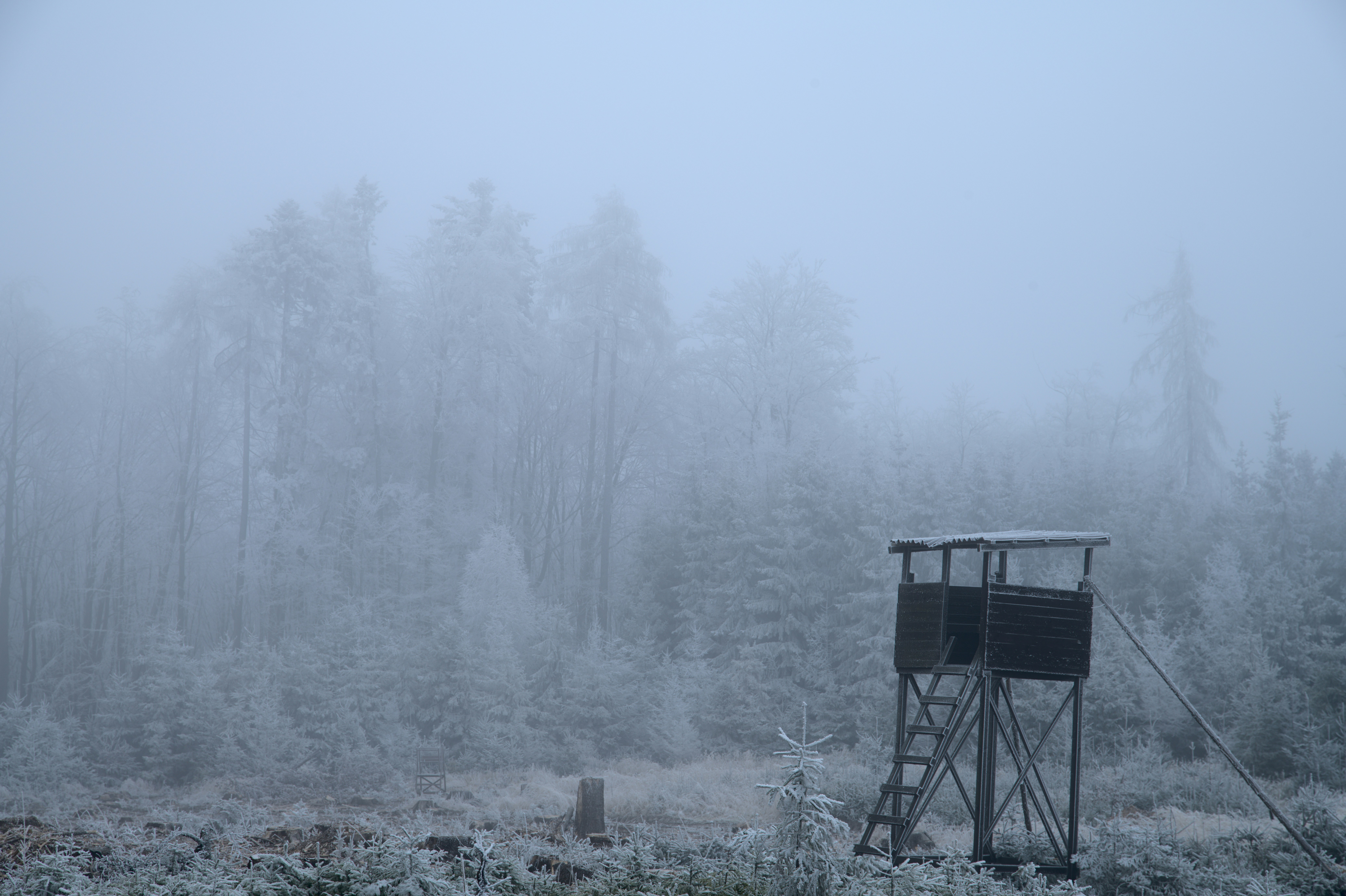 Whispers of Winter Silence