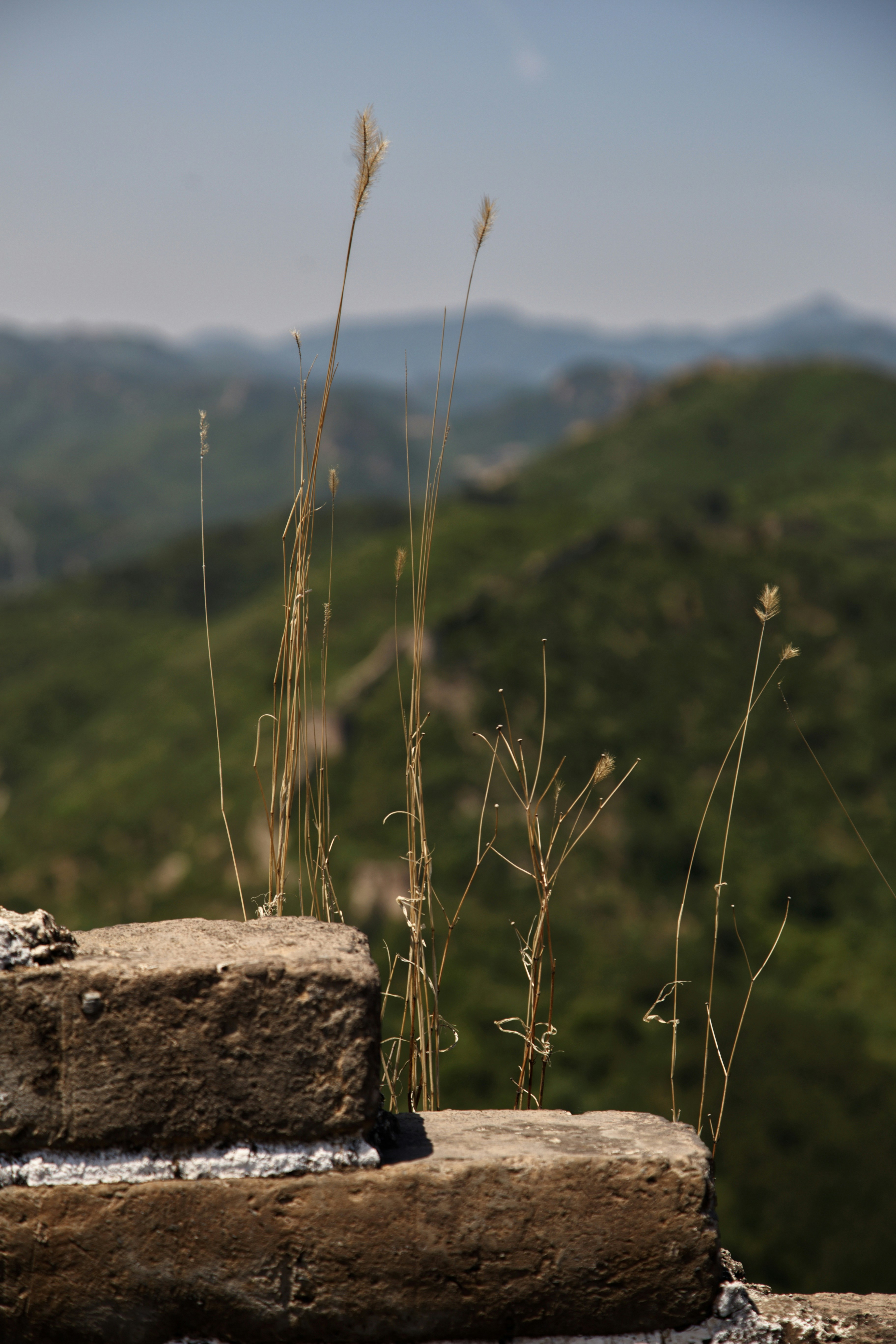 Dry grasses sprouting from weathered stone remnants against a backdrop of rolling green hills and distant mountains.