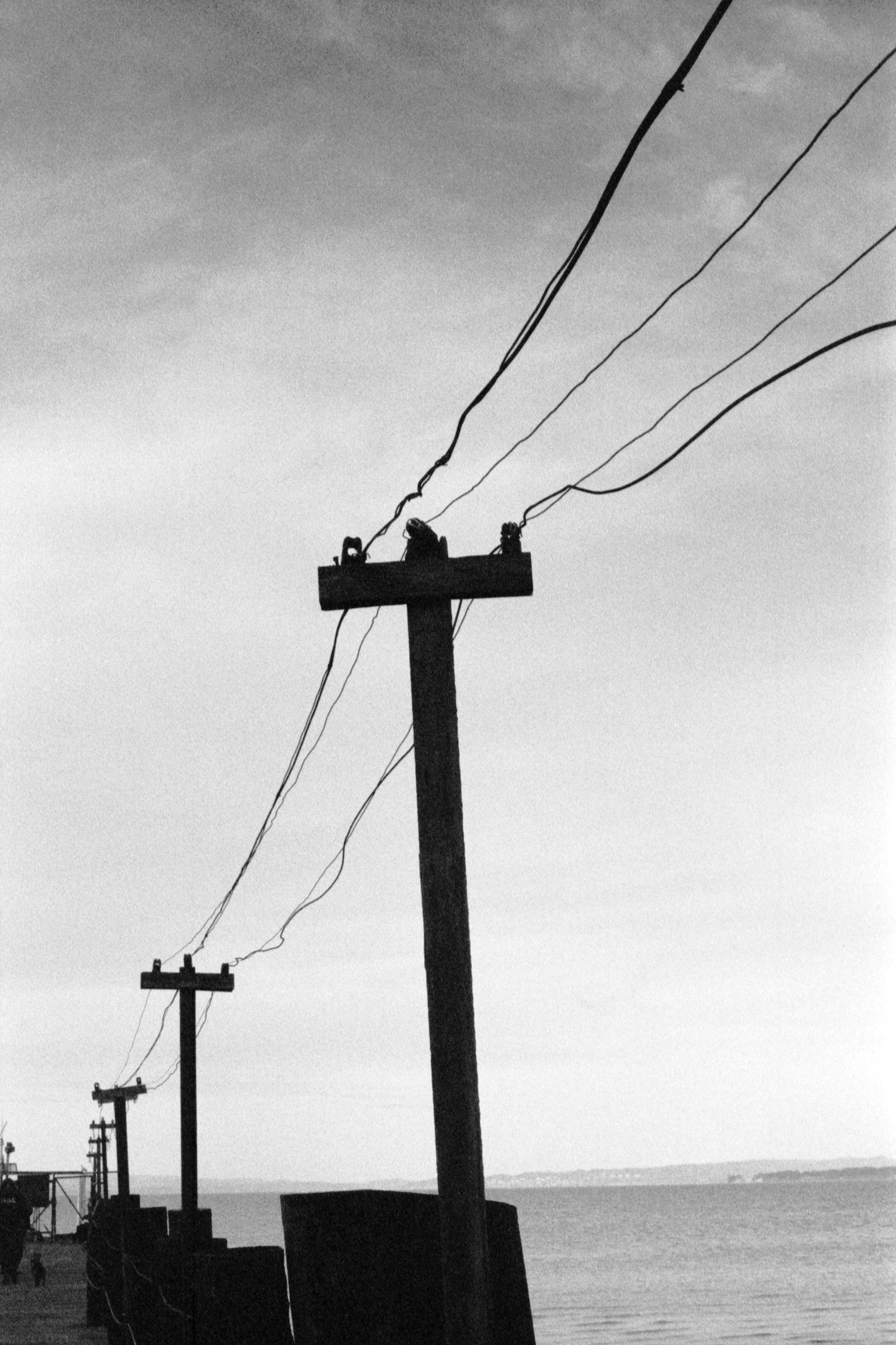 Silhouetted utility poles and wires stretch along a coastal path, contrasting against a soft sky. The scene evokes a sense of solitude and connection to the landscape.