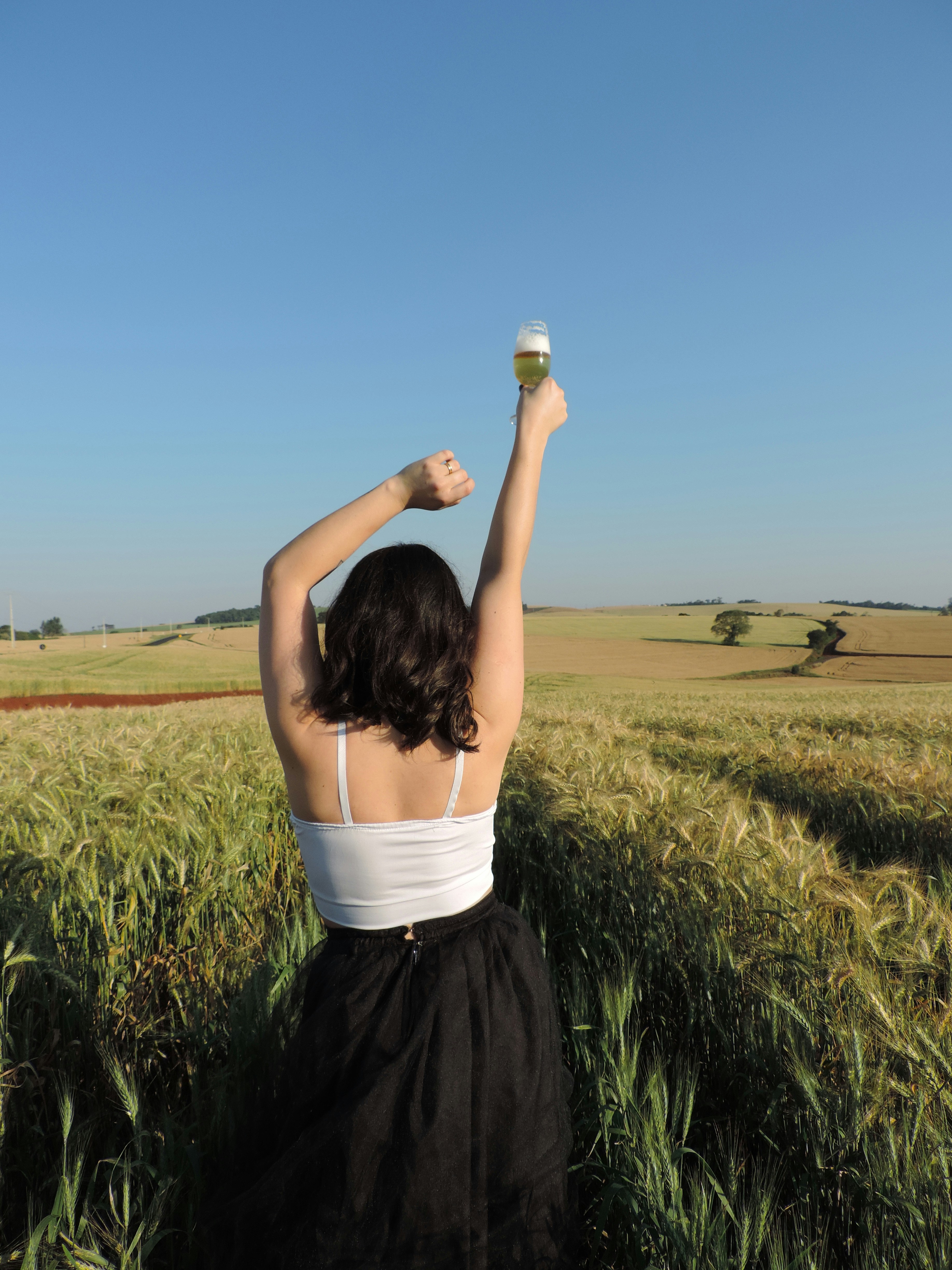 Raising a Toast to Sunlit Fields