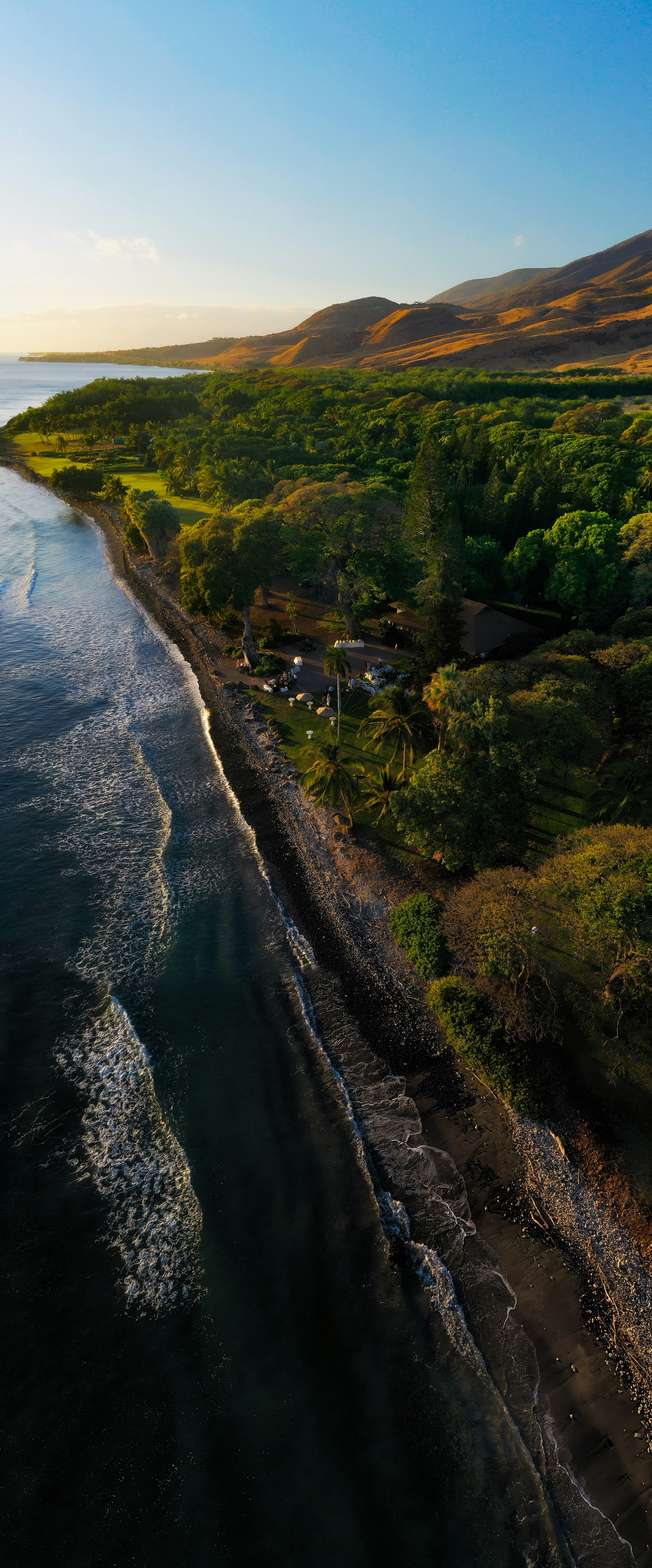 Lush greenery meets the gentle waves along a tranquil coastline, highlighting a peaceful retreat nestled among nature.