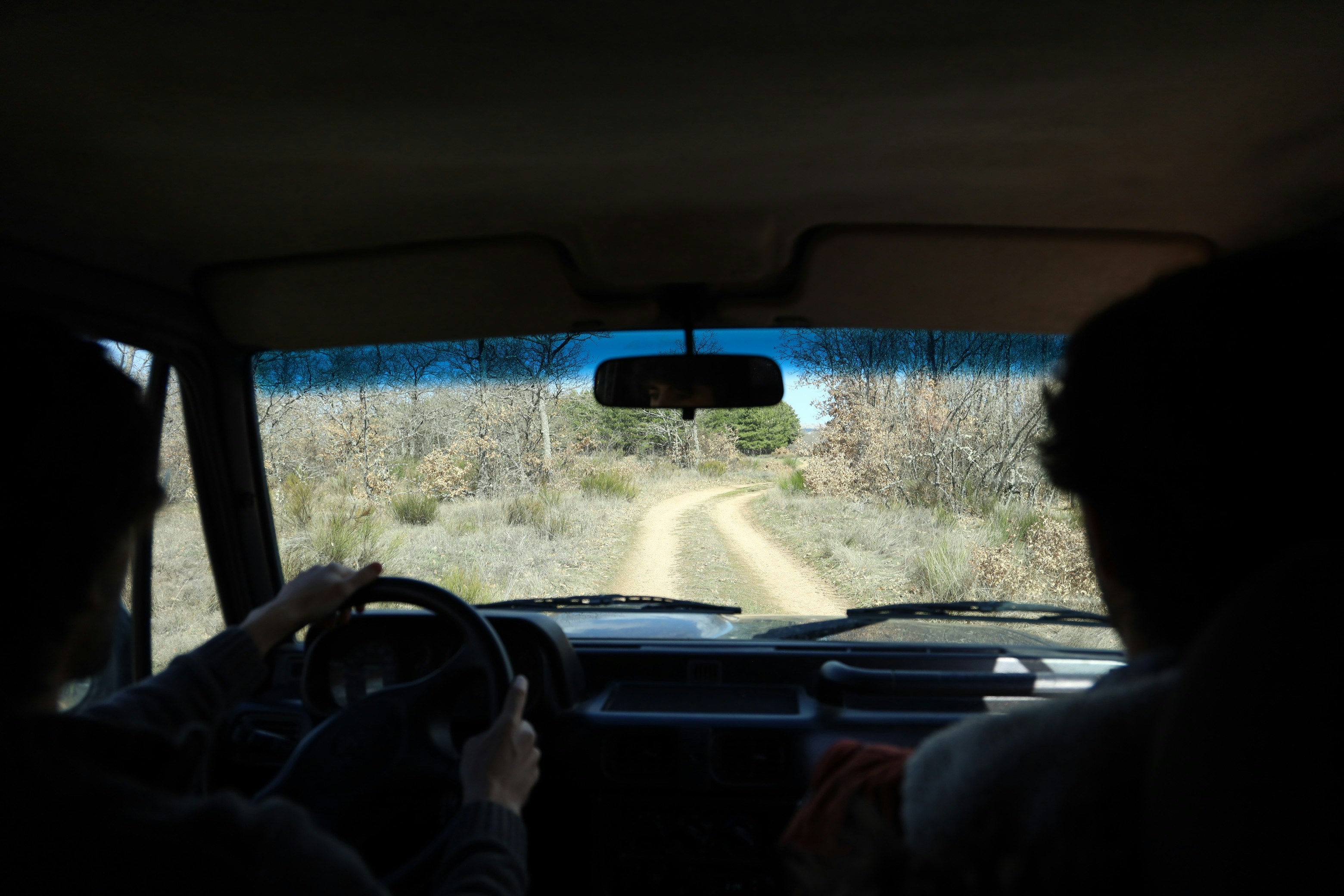 Two people in a car navigating a winding dirt road through a sparse, wooded landscape.