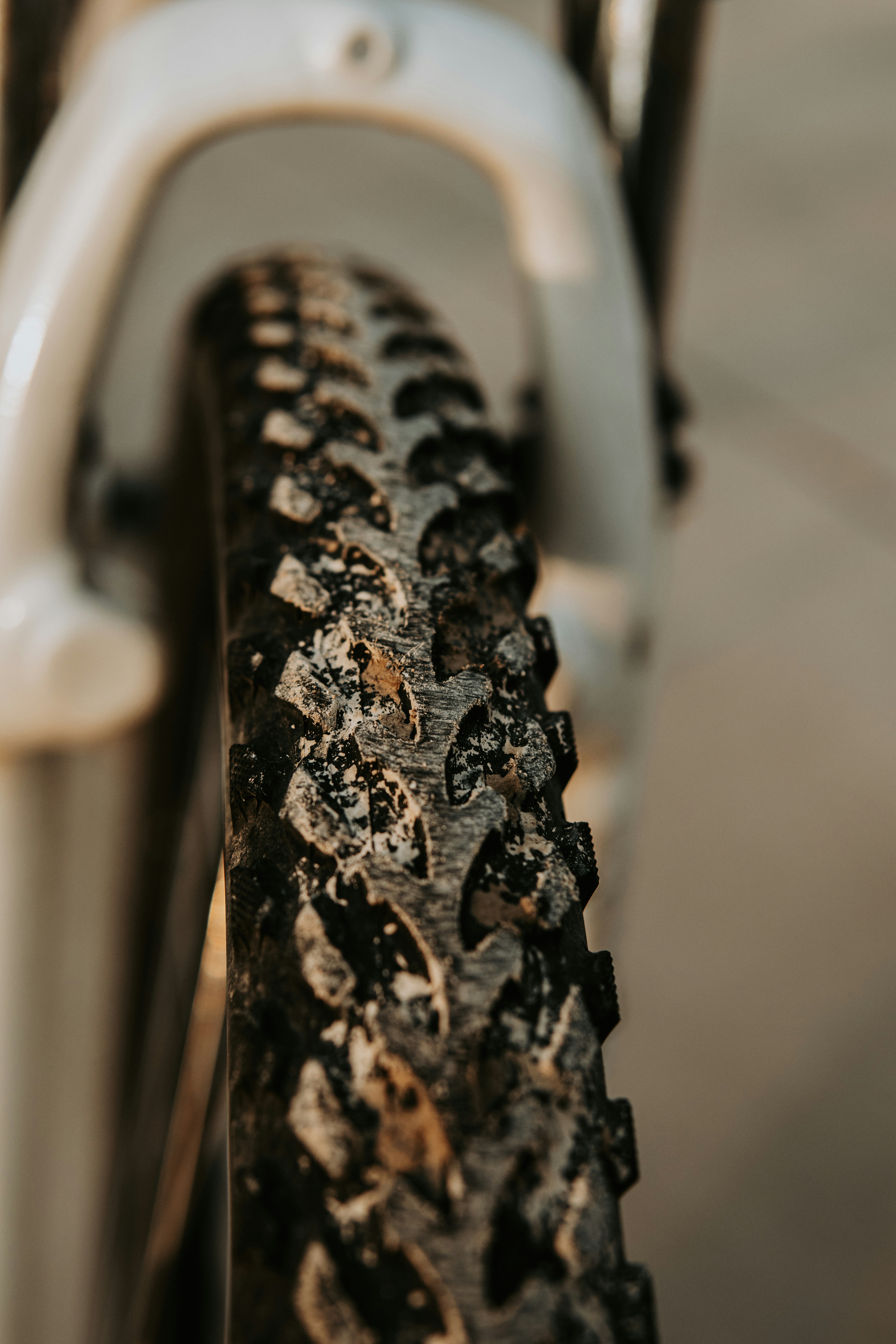 Dusty Knobby Tread: Close-Up on a Mountain Bike Tire