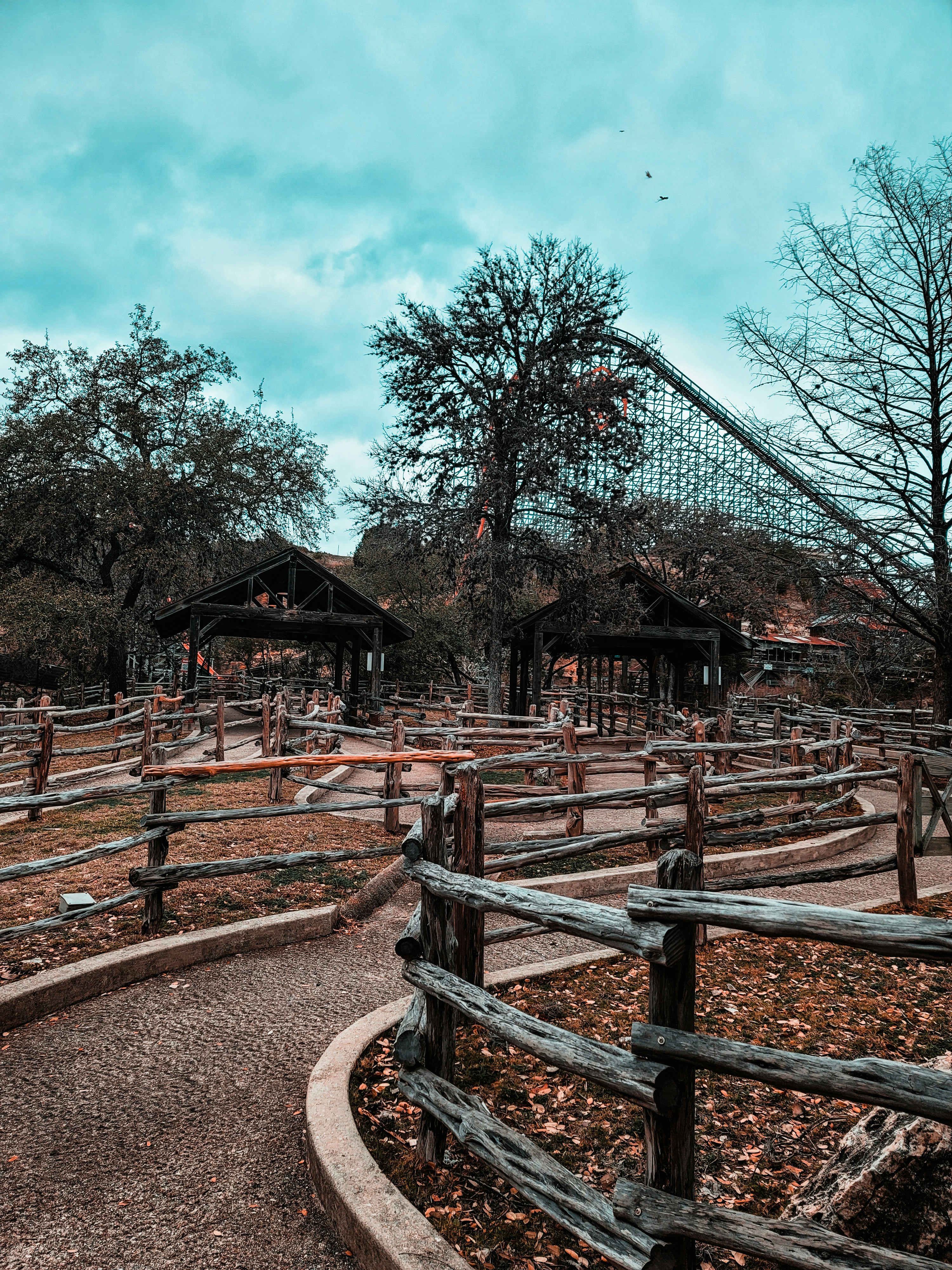 Curved Cedar Path Toward Timbered Pavilions Under a Cobalt Sky