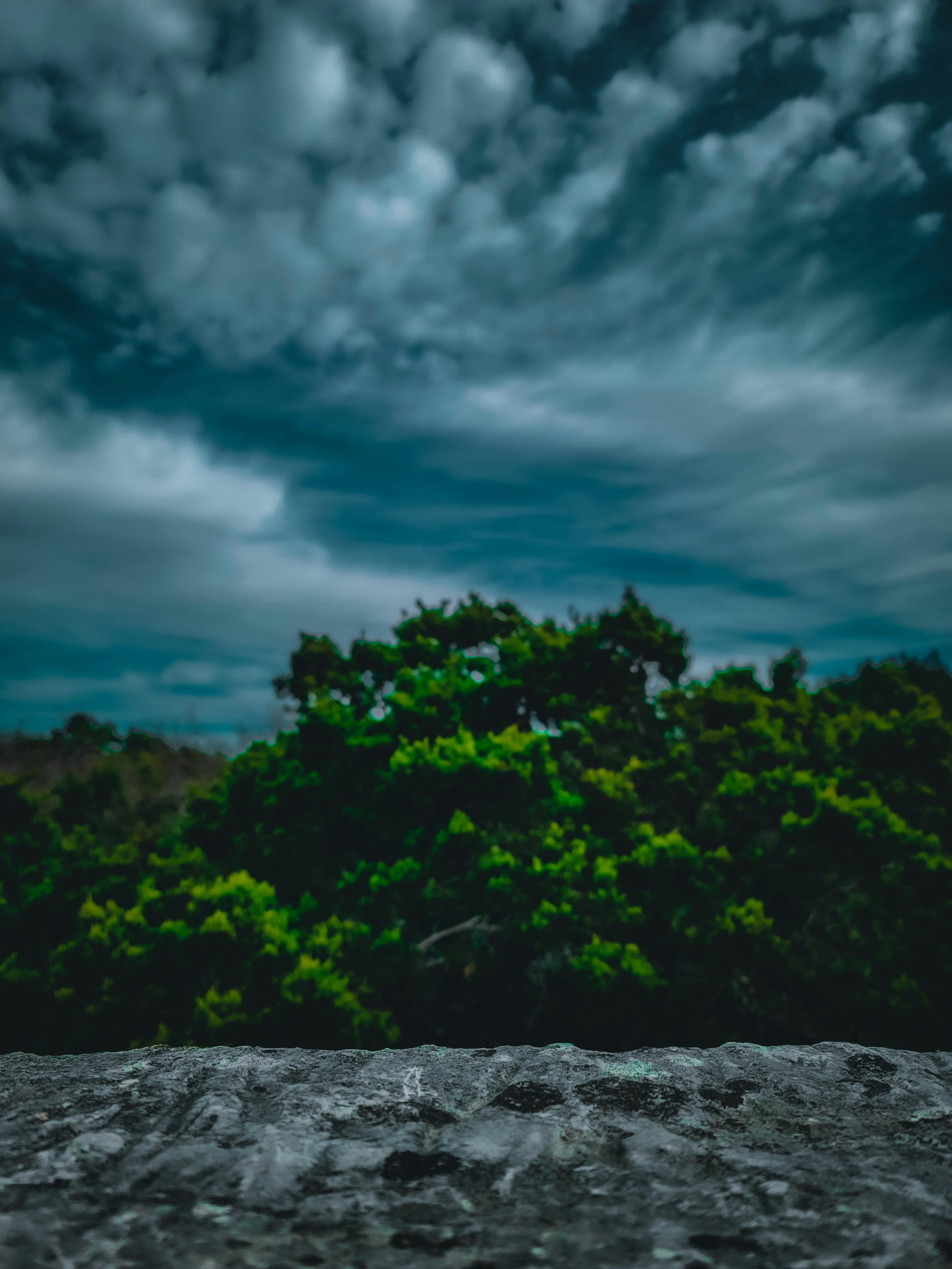 Edge of Quiet Depths: Stone Foreground Meets Emerald Canopy