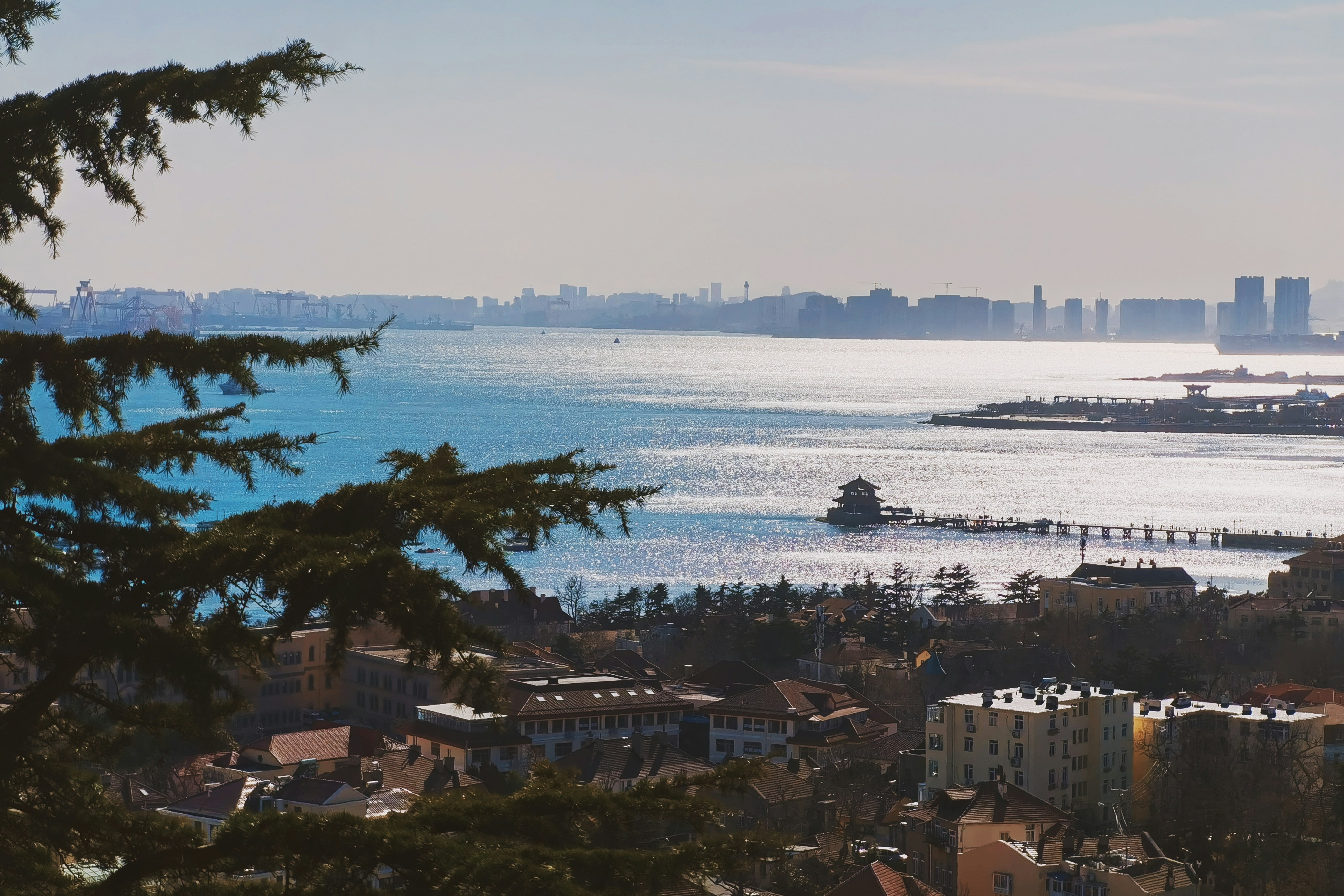 City buildings framed by a lush tree with a vast body of water stretching towards a distant skyline.