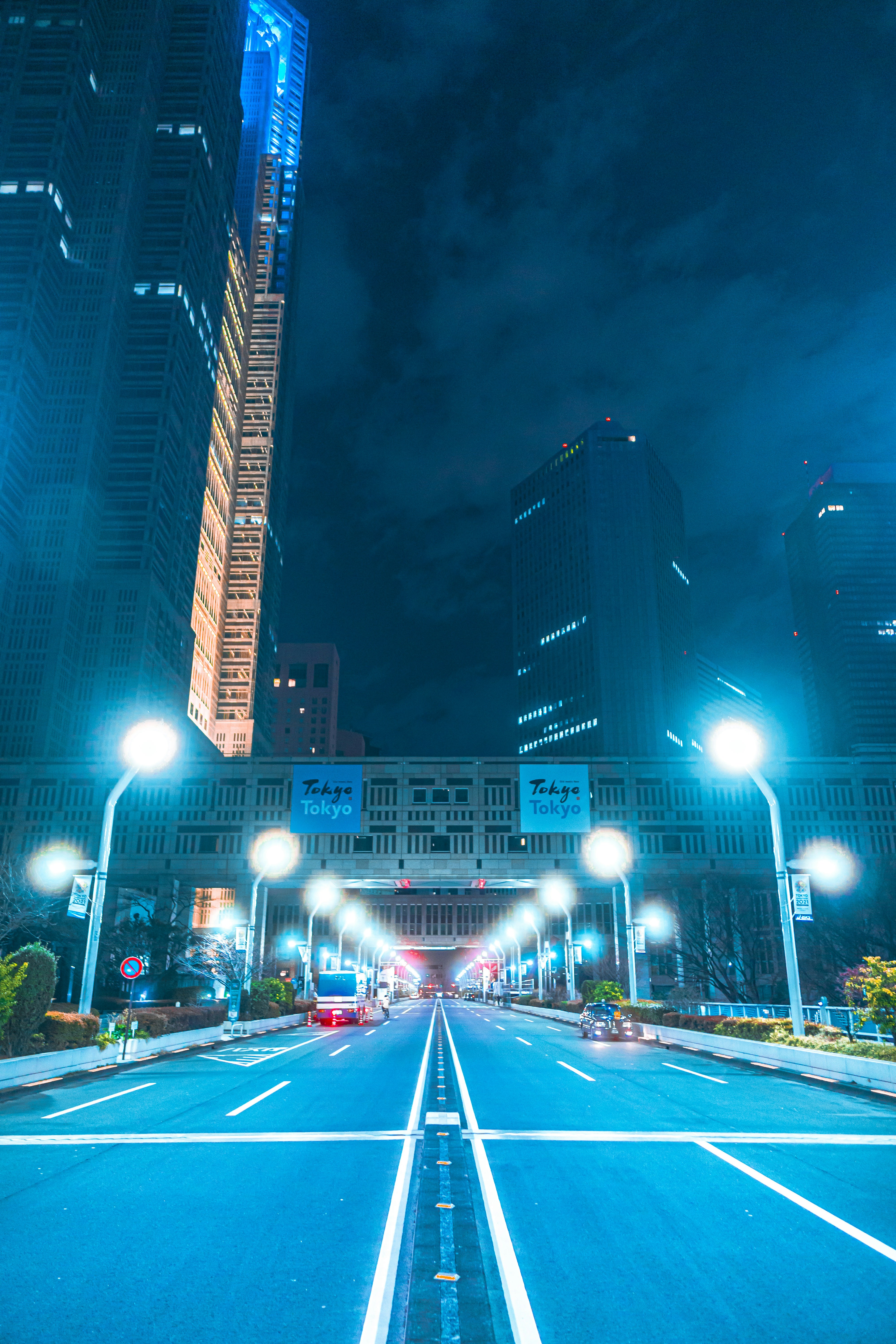 Neon Boulevard: Nighttime Tokyo Across a Syrup-Colored Road
