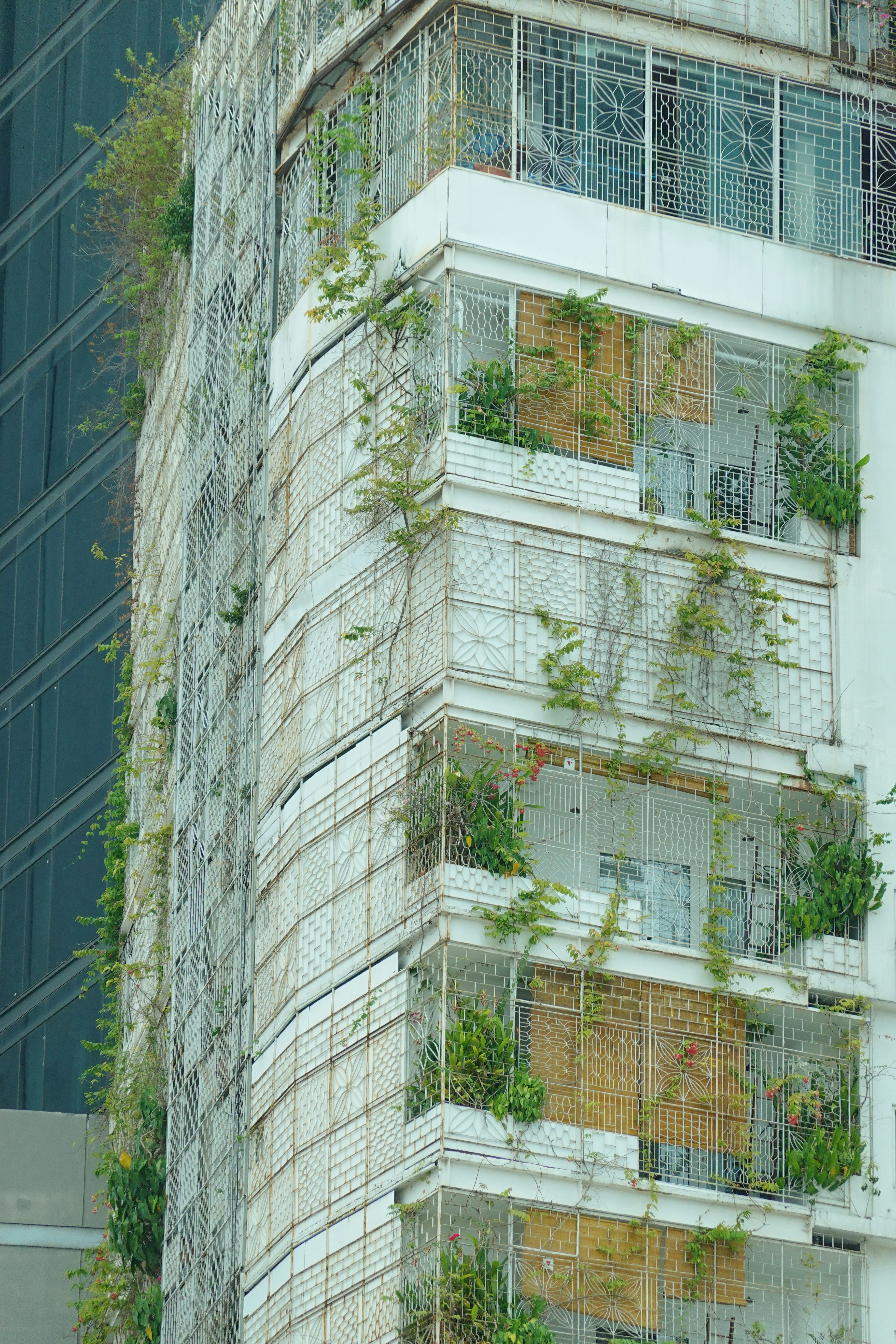 A weathered building adorned with vibrant greenery, showcasing a harmonious blend of nature and urban architecture. The structure features intricate metalwork and flourishing plants throughout its façade.