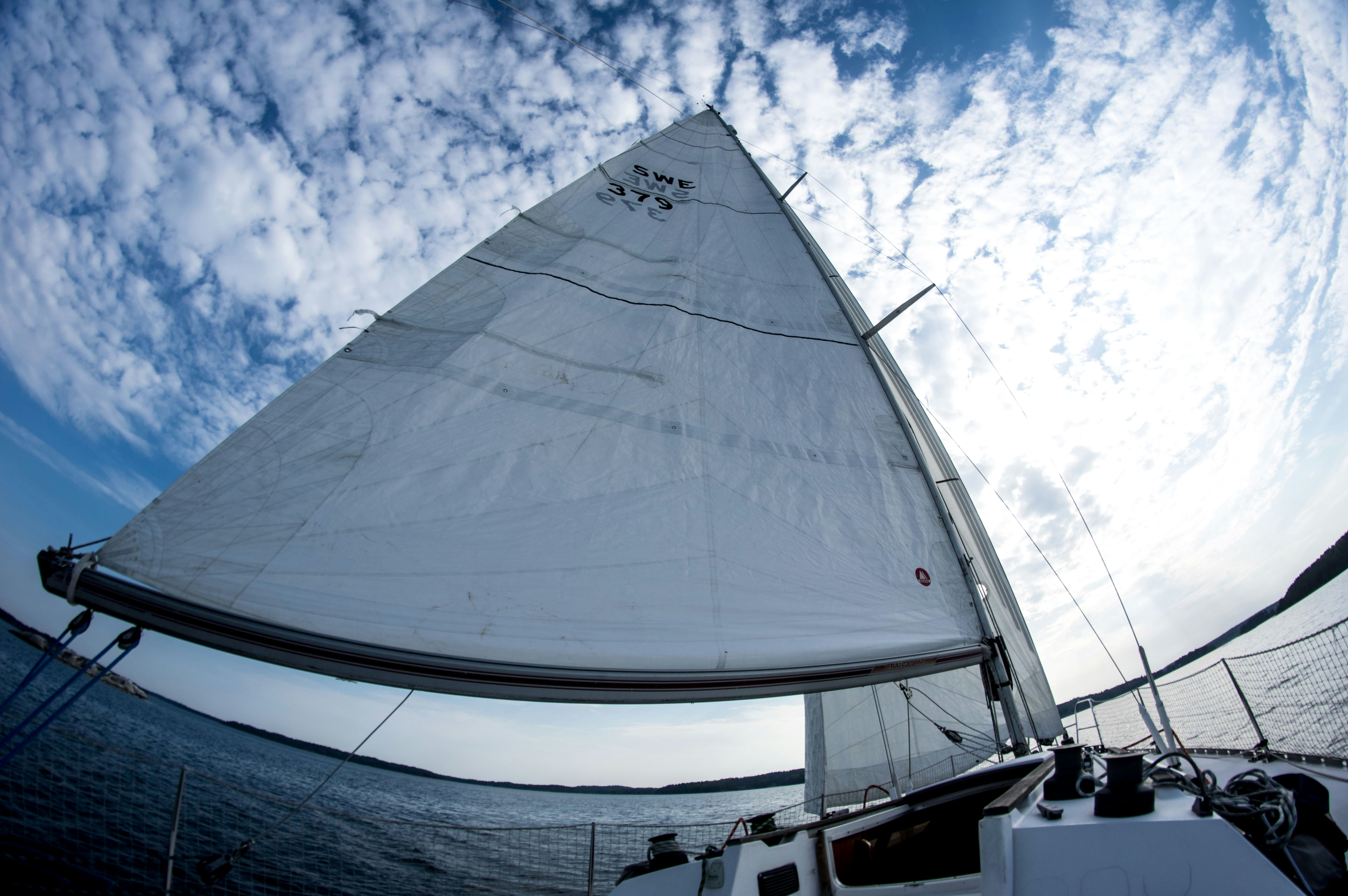 A white sail boat sailing on a body of water photo – Free Grey Image on ...