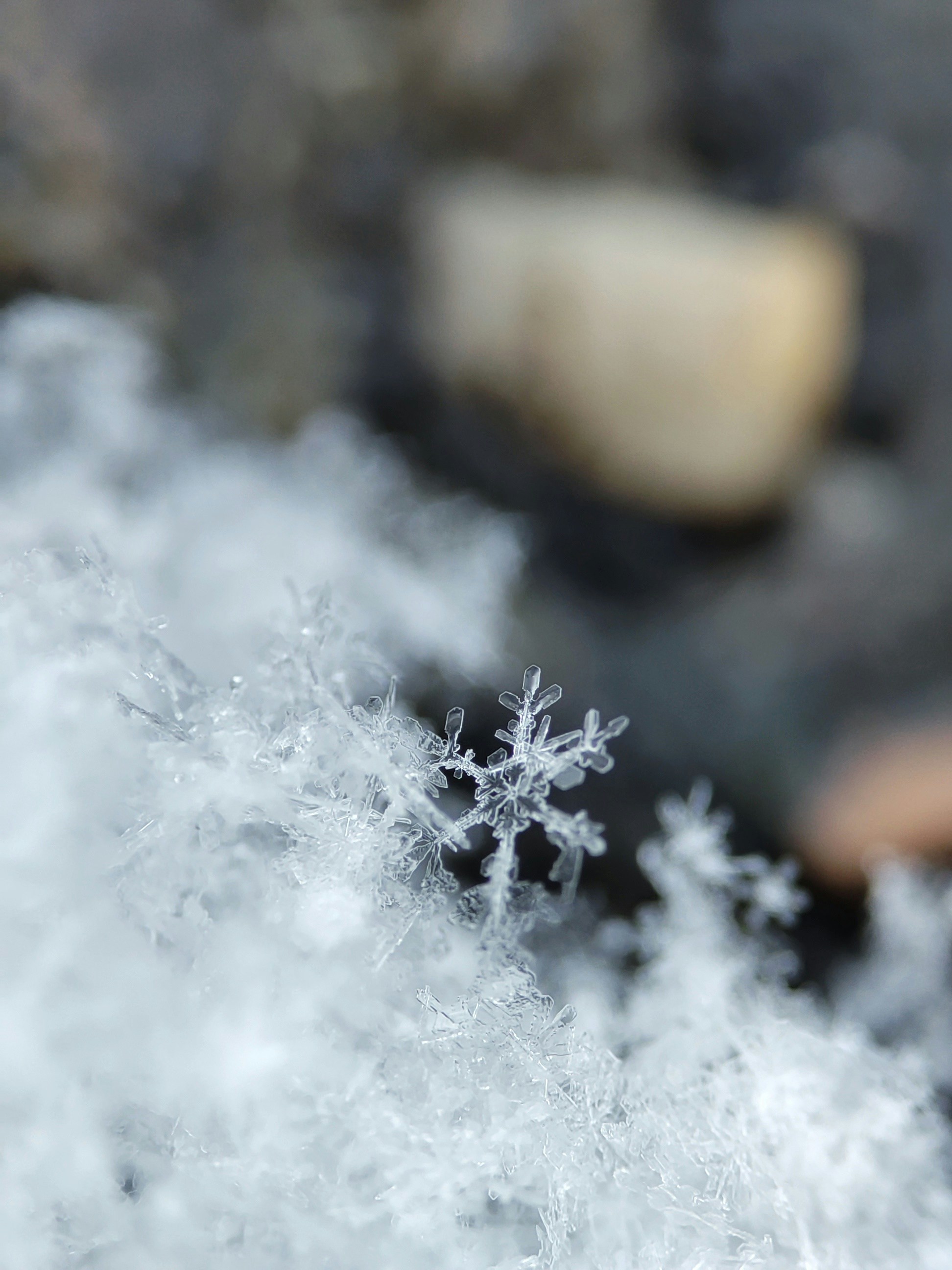 A close up of snow flakes on the ground photo – Free Masooleh Image on ...