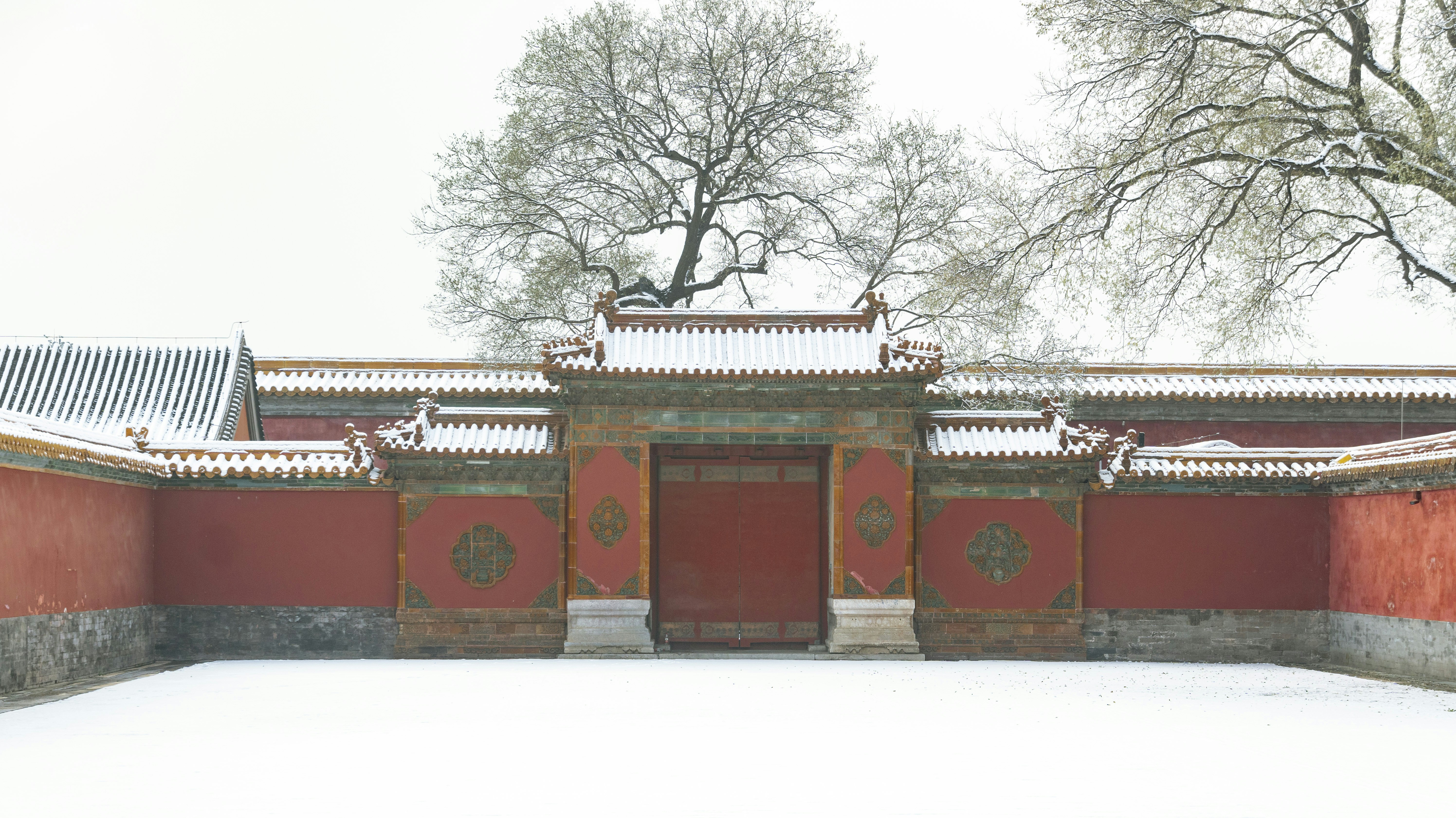Snowbound Red Gate: Tranquil Courtyard Framed by Winter Trees