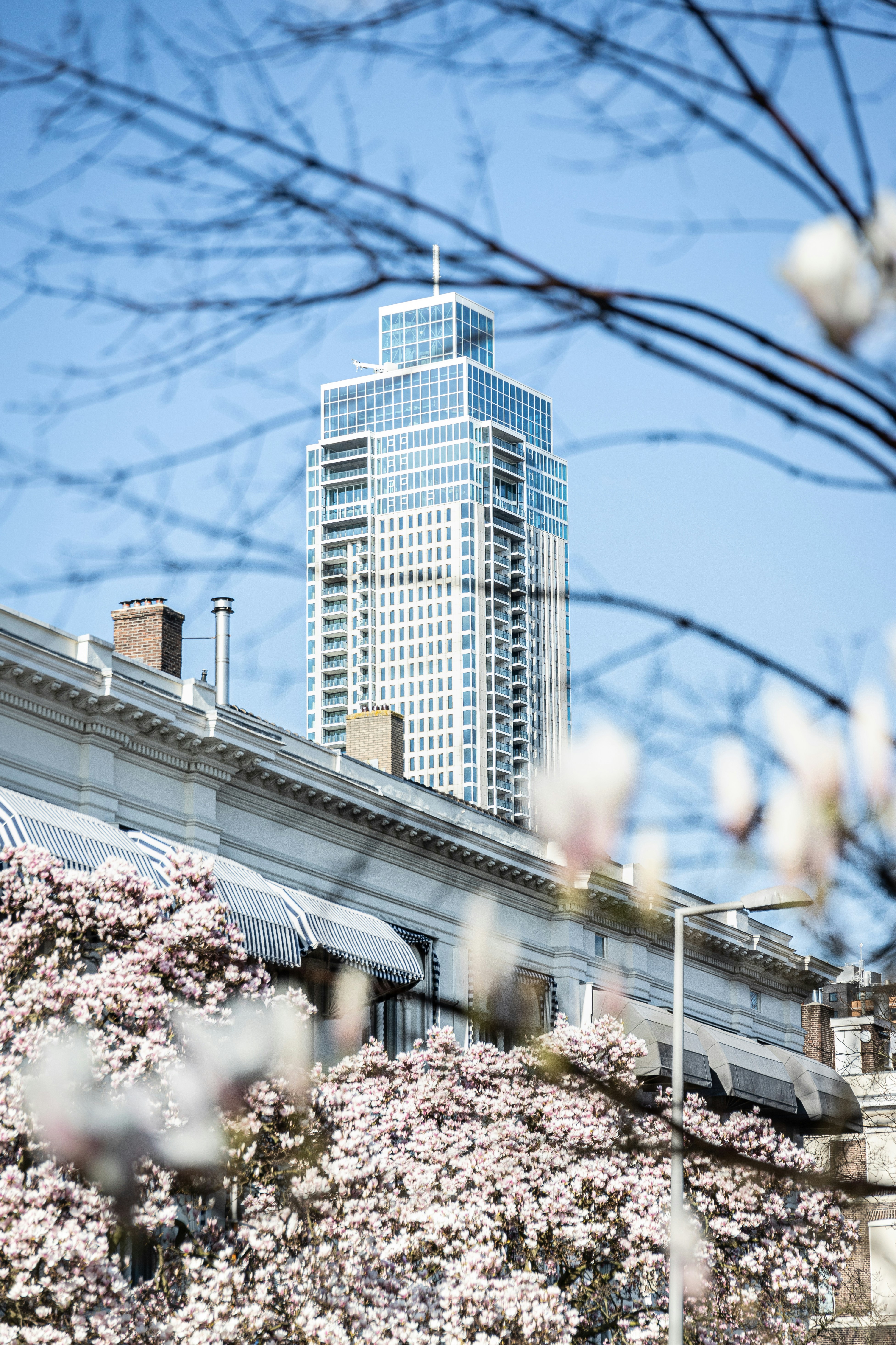 A sleek skyscraper rises above blooming cherry blossoms, showcasing the harmony between urban architecture and nature's beauty.
